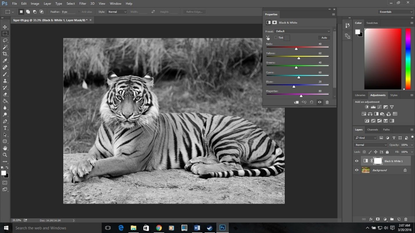 Learning the Basics of Adobe Photoshop : 6 Steps - Instructables