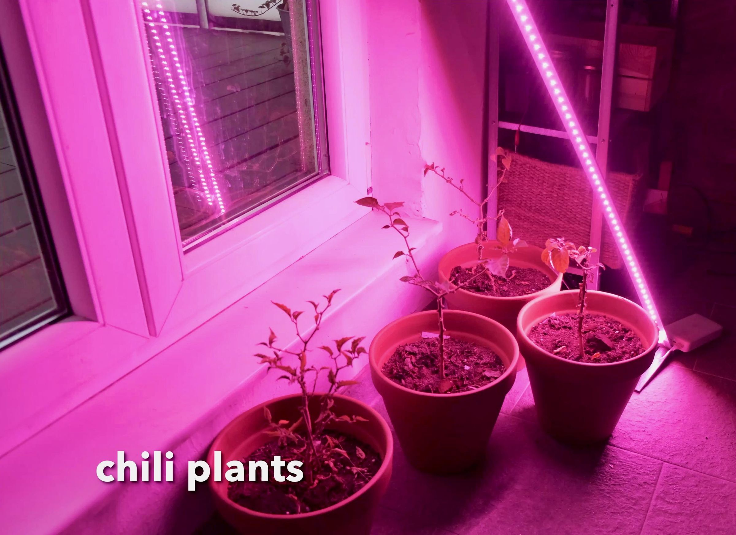 DIY LED Grow Light With 3d Printed Base : 4 Steps (with Pictures ...