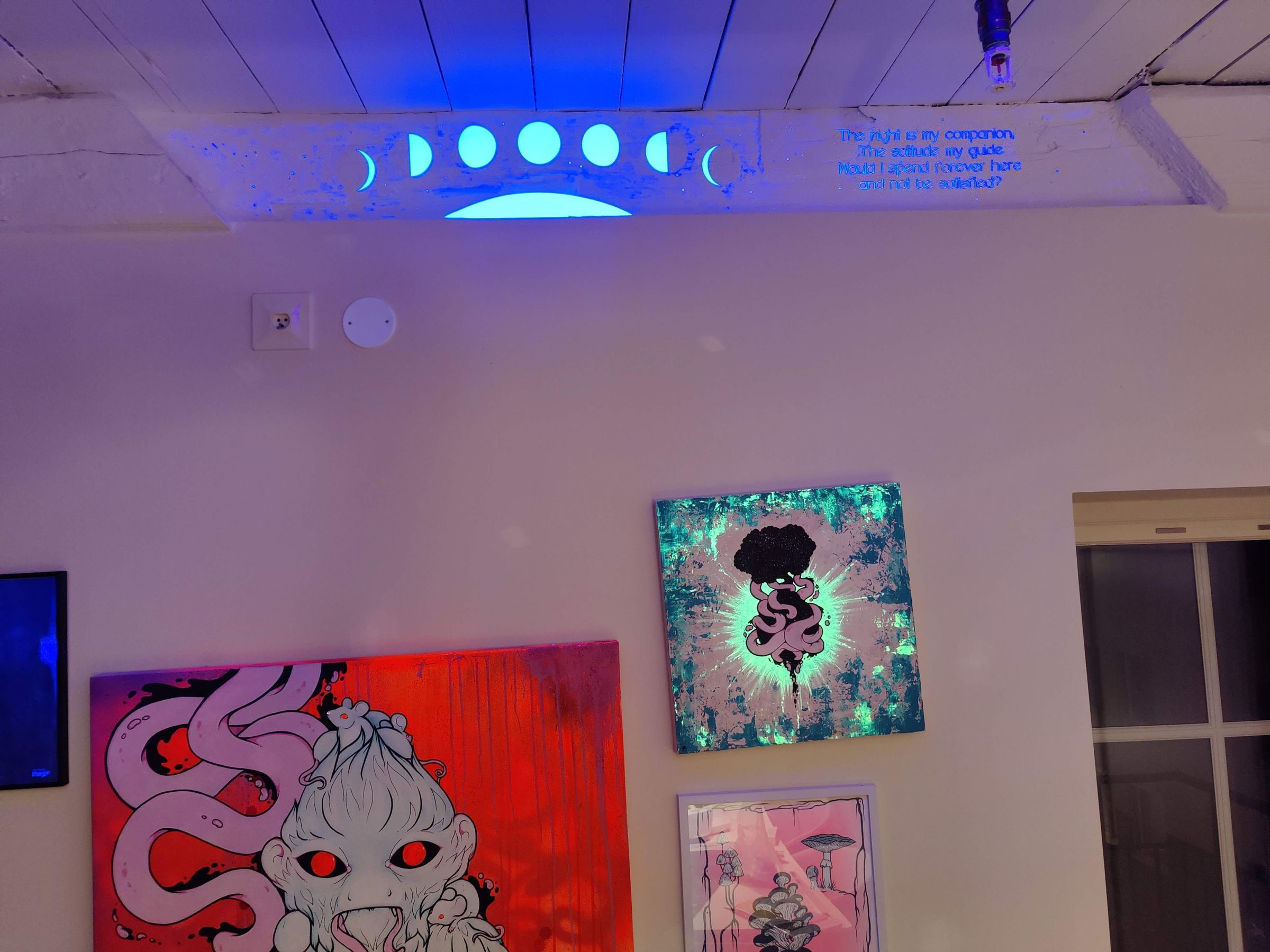Hidden-in-plain-sight Window to a Blacklight Universe : 6 Steps ...