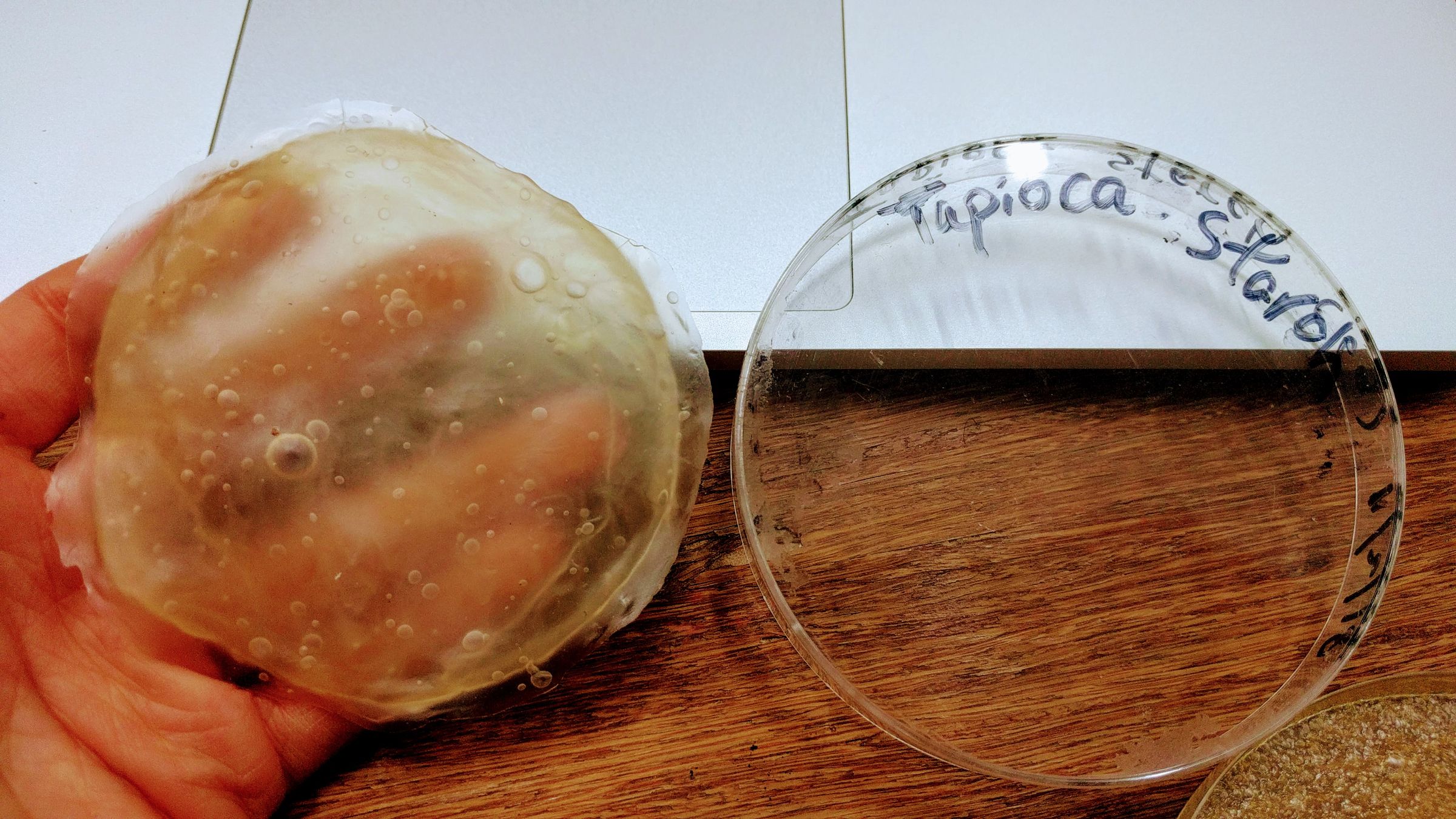 Make Your Own Bioplastics! : 4 Steps (with Pictures) - Instructables