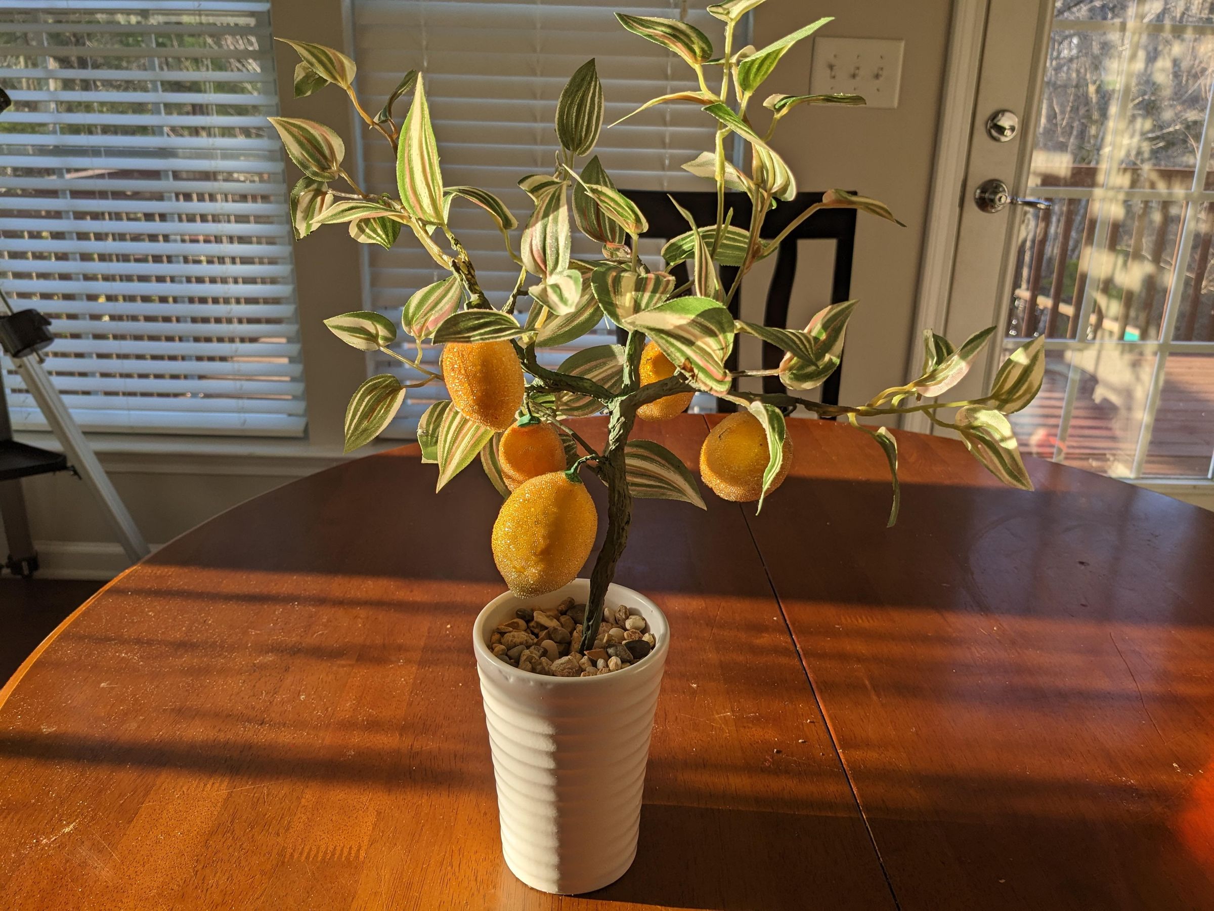 How to Make a Faux Bonsai Fruit Tree : 7 Steps (with Pictures ...