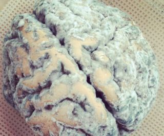 How to Make Beer-Washed Brain Cheese : 9 Steps (with Pictures ...