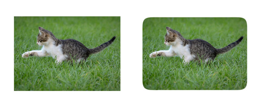 Photoshop CS6 - Create Rounded Corners in Photo : 9 Steps - Instructables