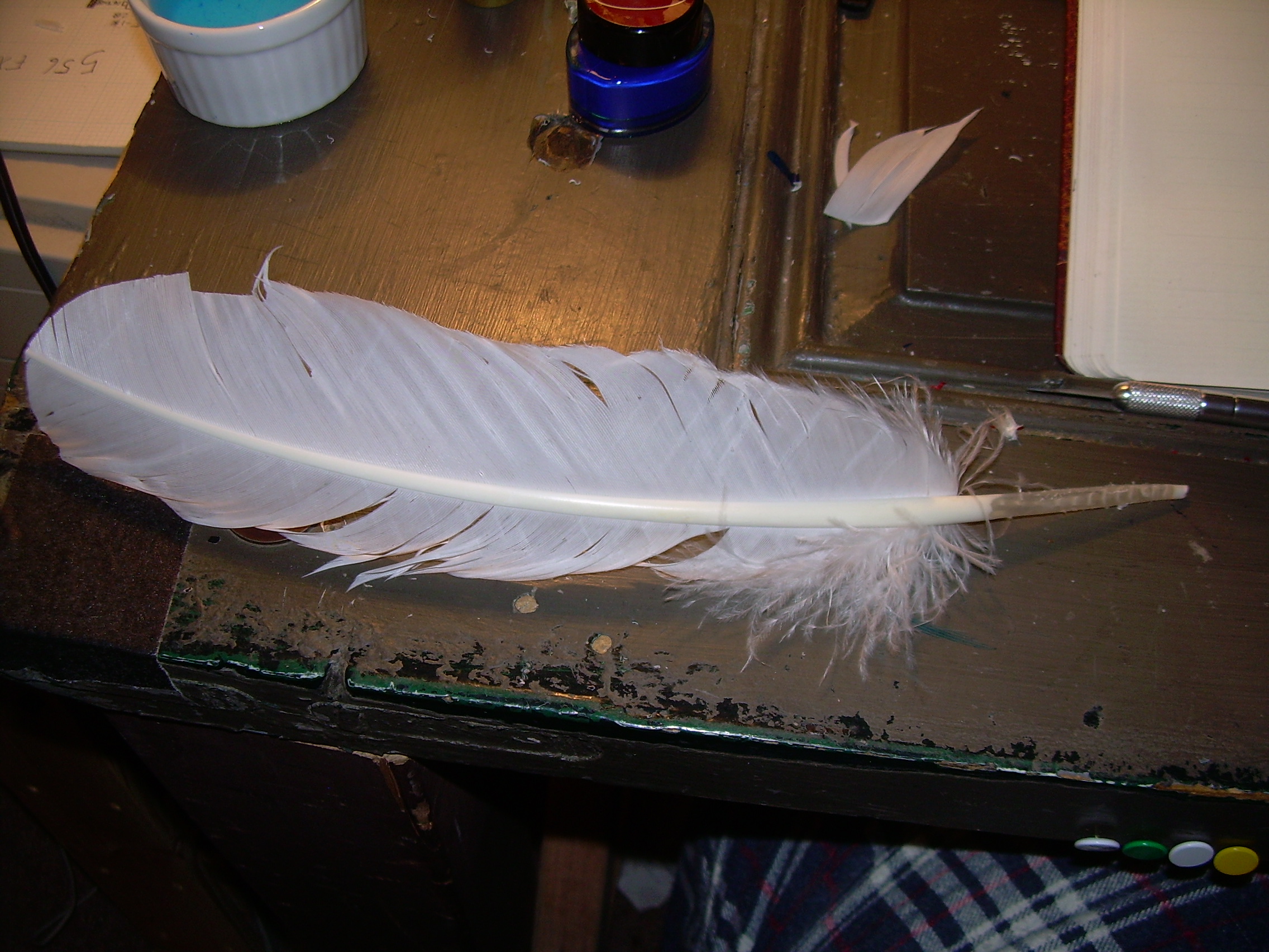 Make a Real Feather Writing Quill : 4 Steps (with Pictures) - Instructables