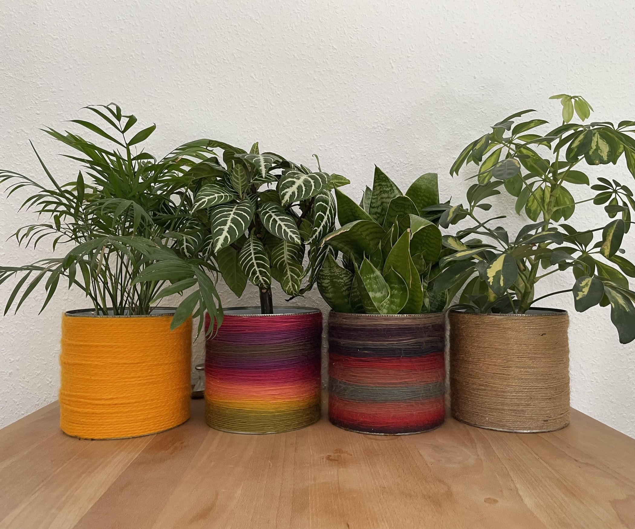 Wooly Pots - Easy Upcycling Project to Turn Tin Cans Into Beautiful ...