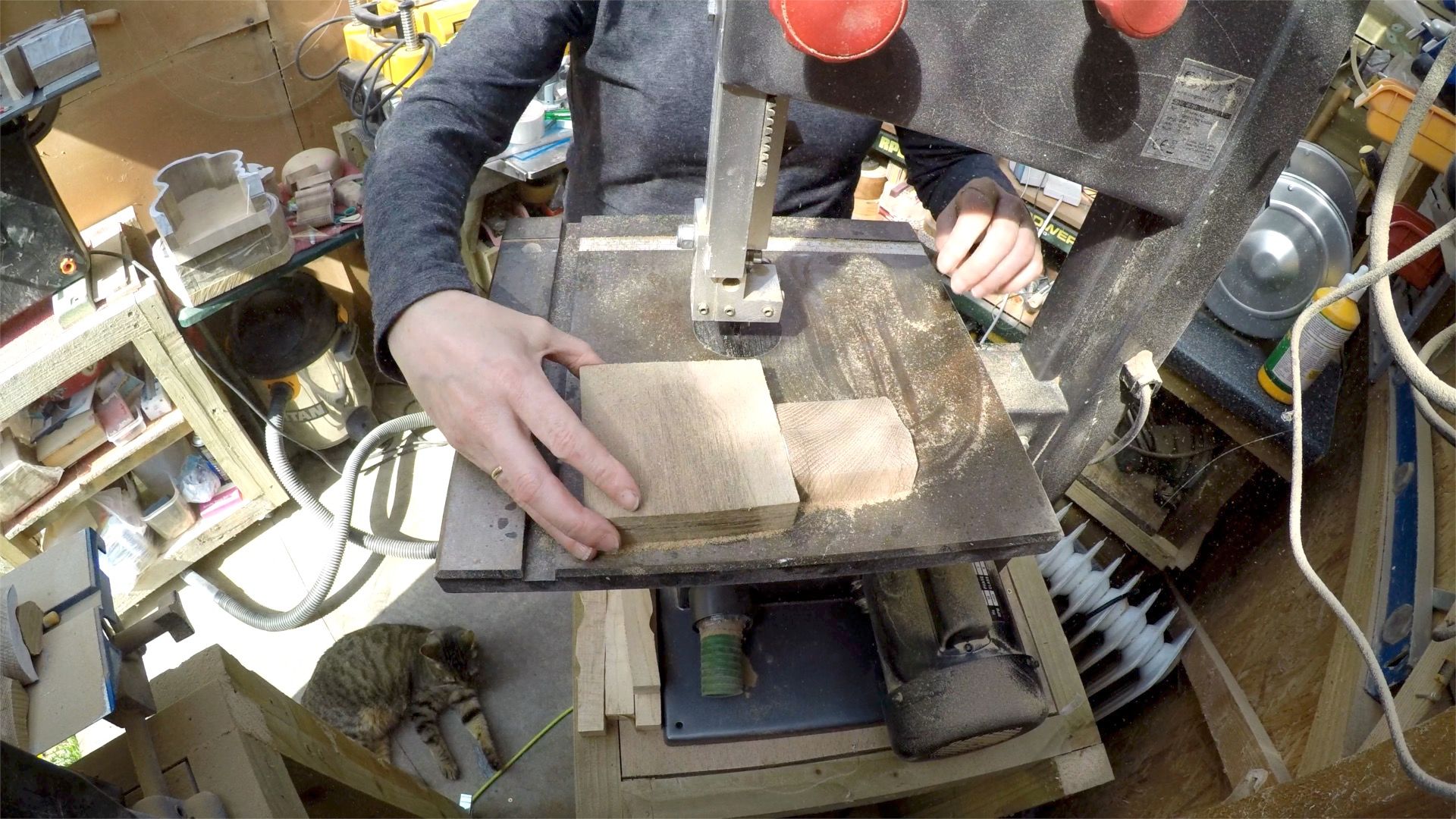 Tree Bandsaw Box : 12 Steps (with Pictures) - Instructables