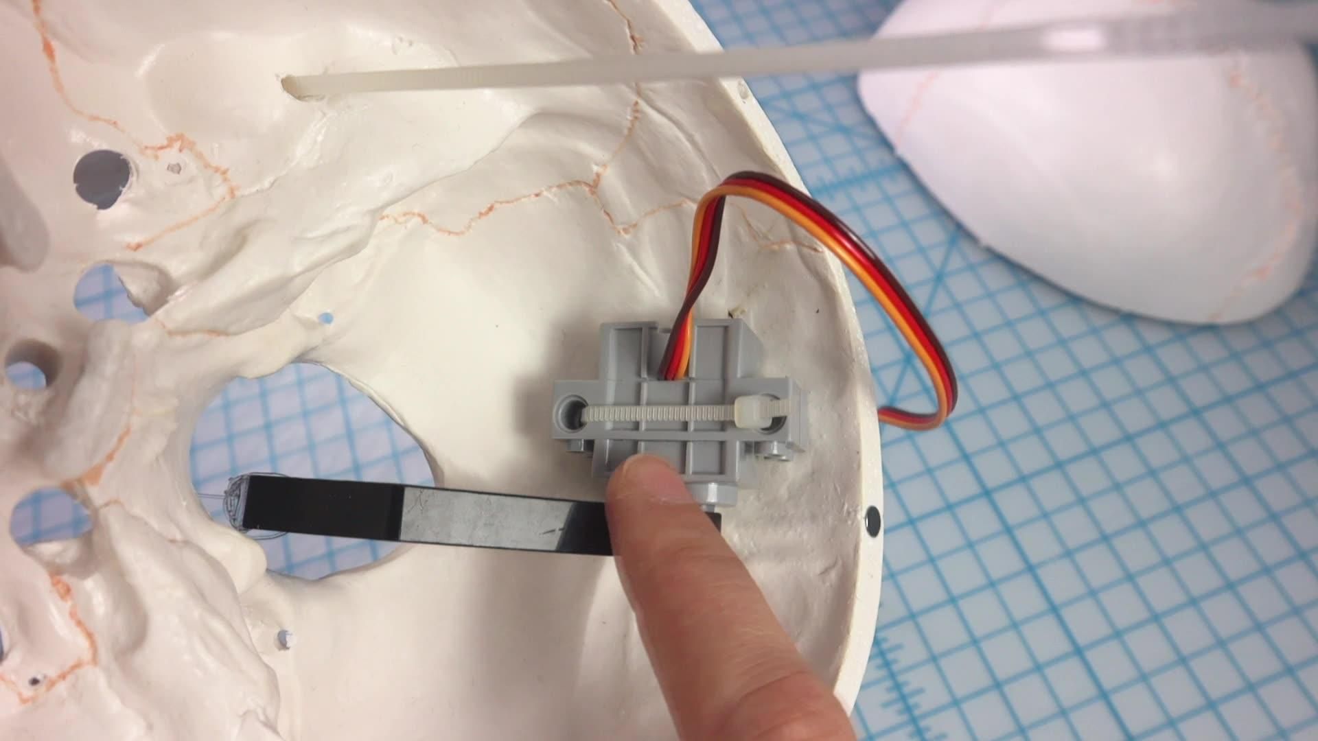 Easy Talking Skull With Micro:bit - Remote Control Animatronic Skull ...