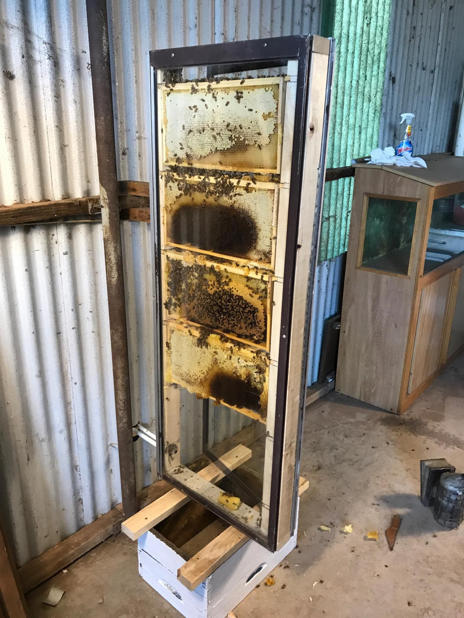How to Build an Observation Bee Hive : 20 Steps (with Pictures ...