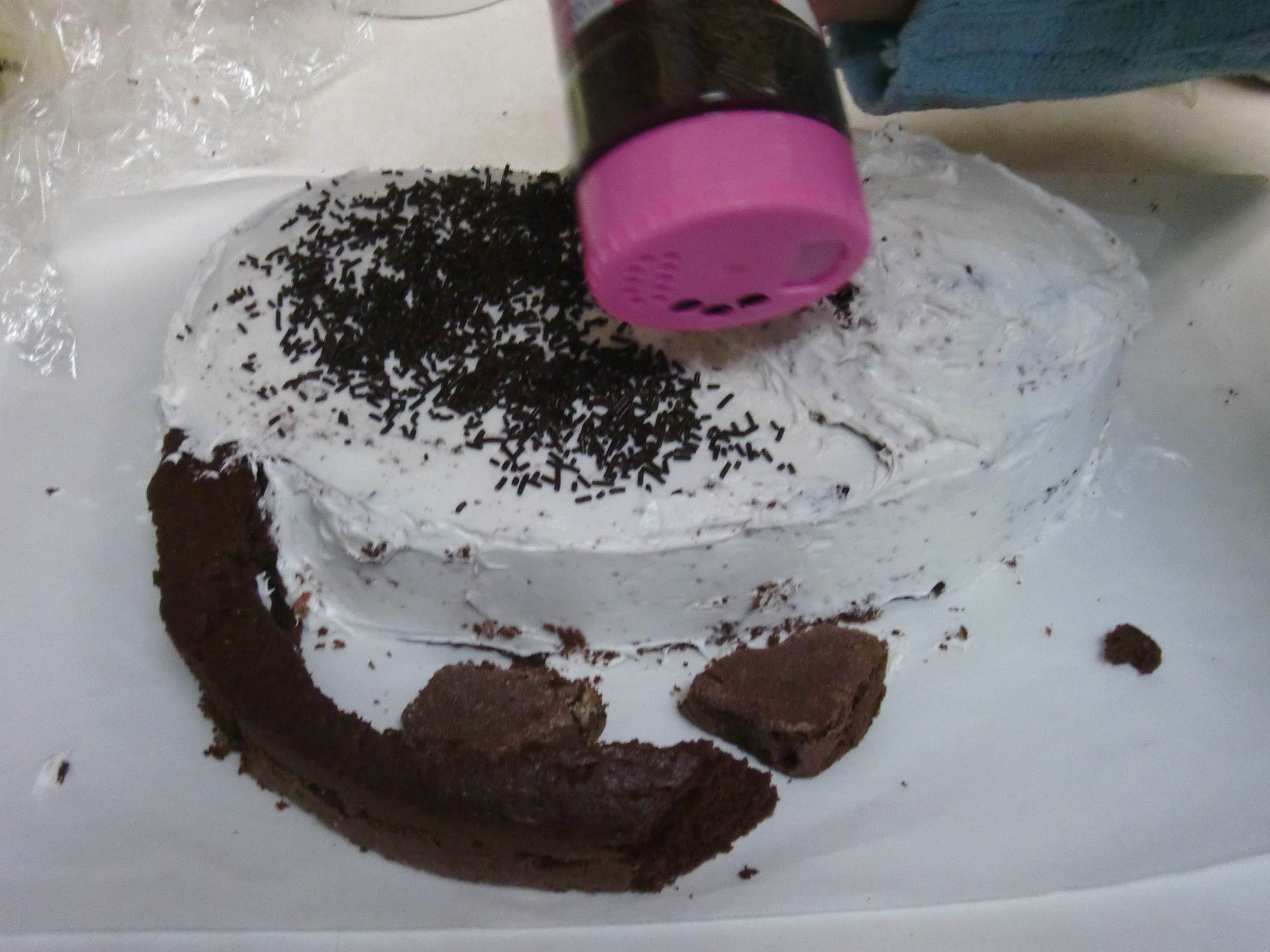 How to Make a Possum Cake : 6 Steps - Instructables