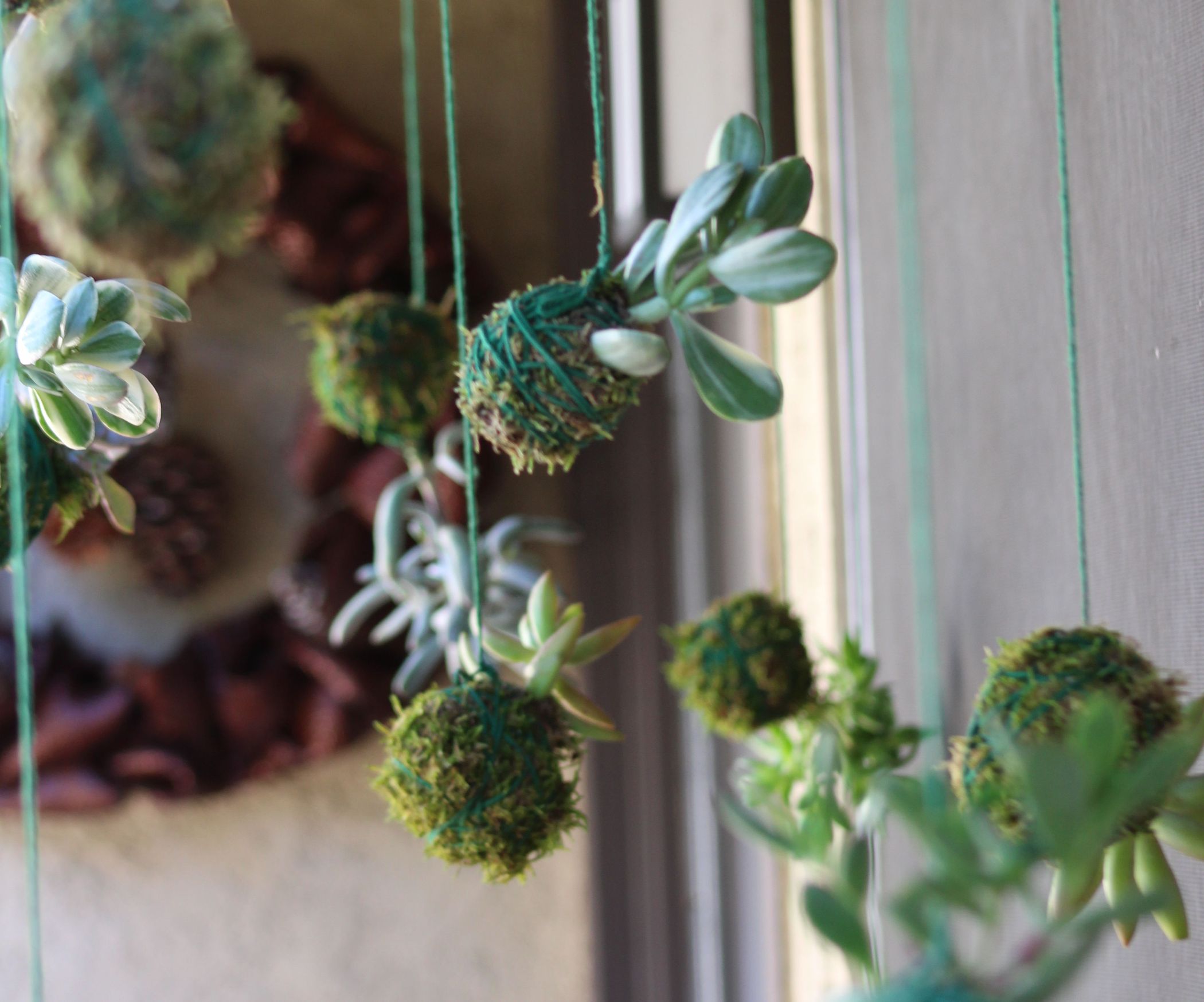 My String Garden : 3 Steps (with Pictures) - Instructables