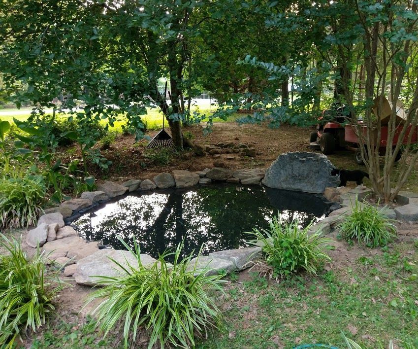 Golfish Pond : 10 Steps (with Pictures) - Instructables