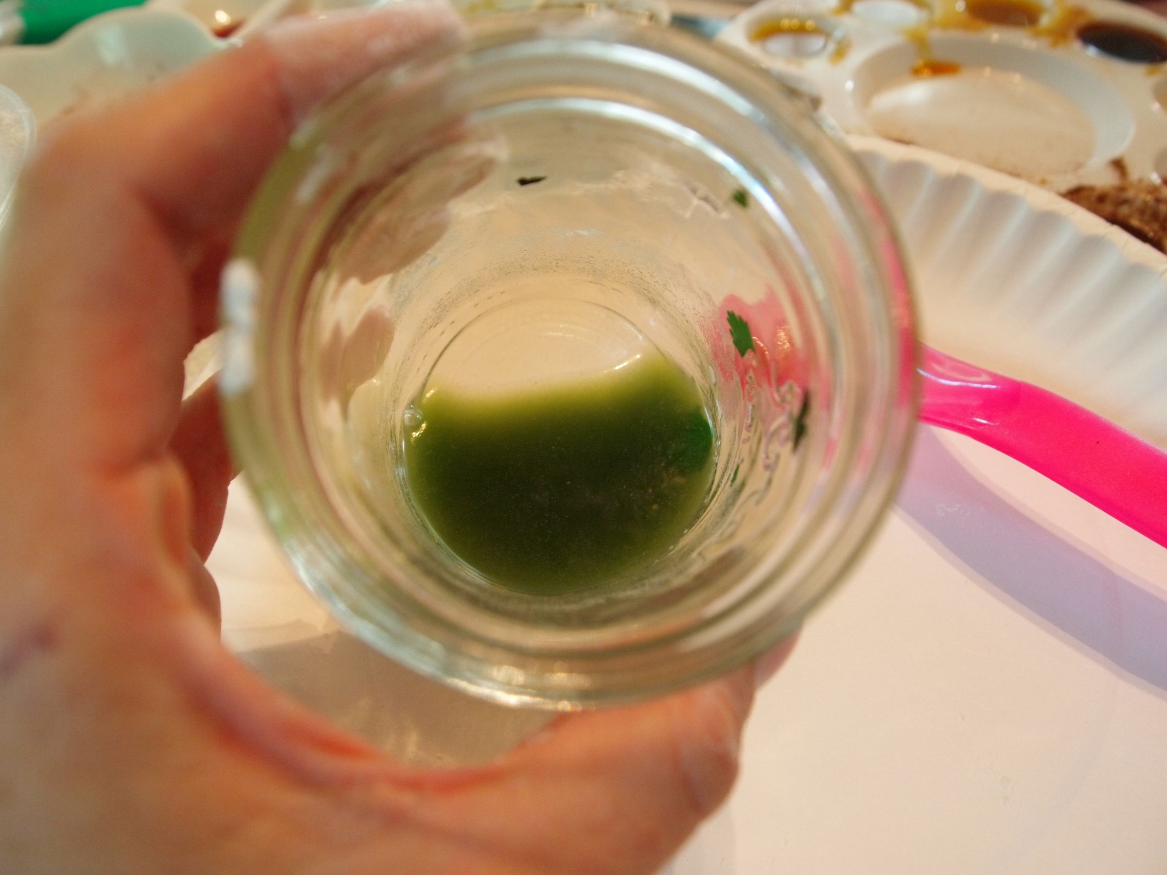 Paint Made From Berries & Nature : 4 Steps (with Pictures) - Instructables