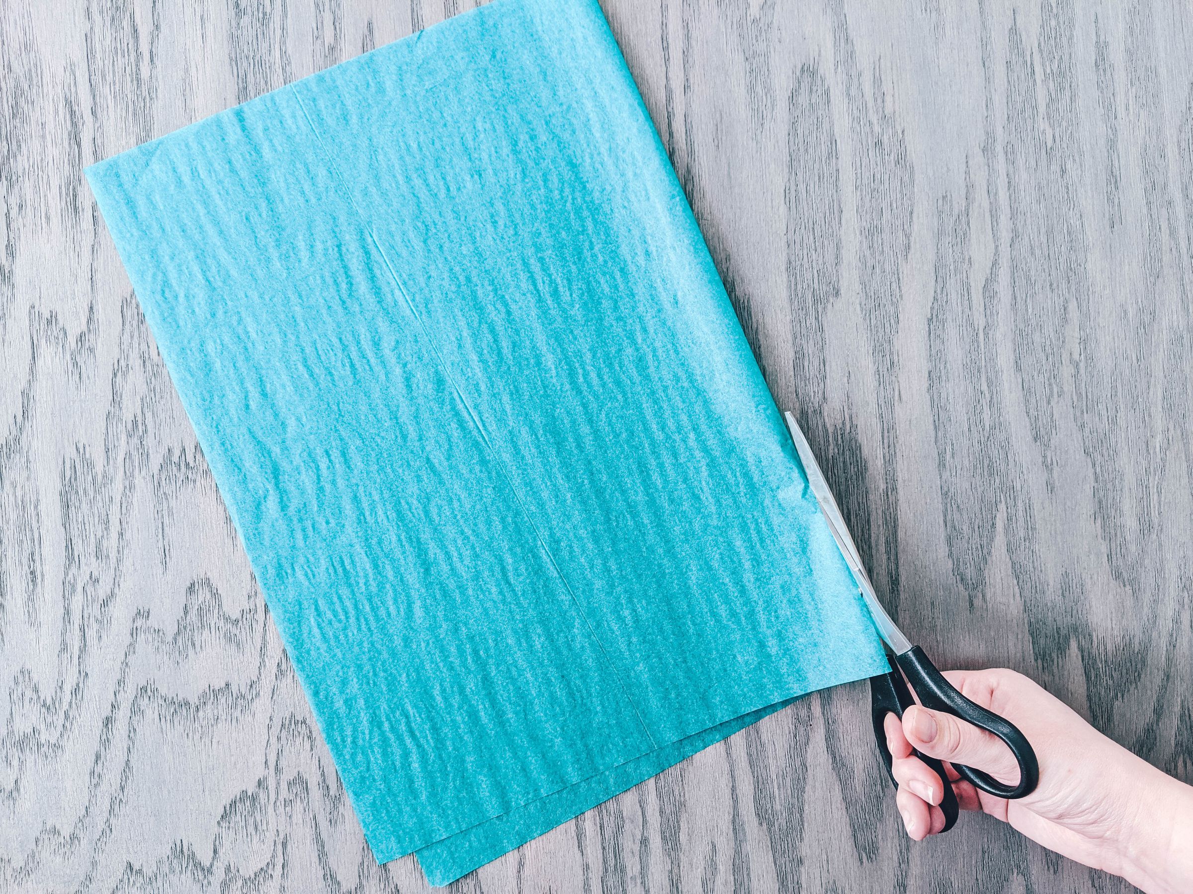 Tissue Paper Wisteria With Bonus Jumbo Daisies : 10 Steps (with ...