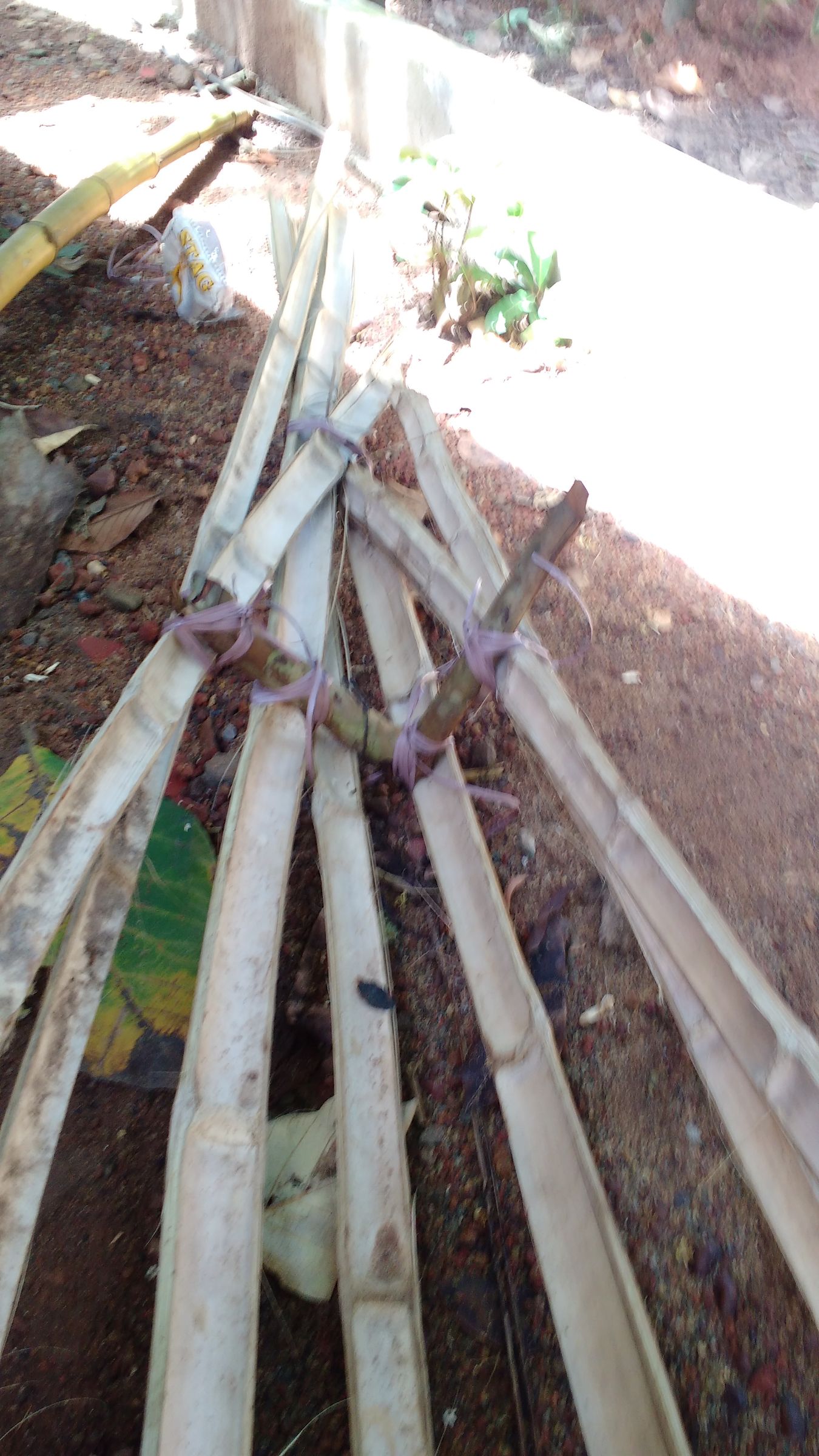 Bamboo Canoe : 6 Steps (with Pictures) - Instructables