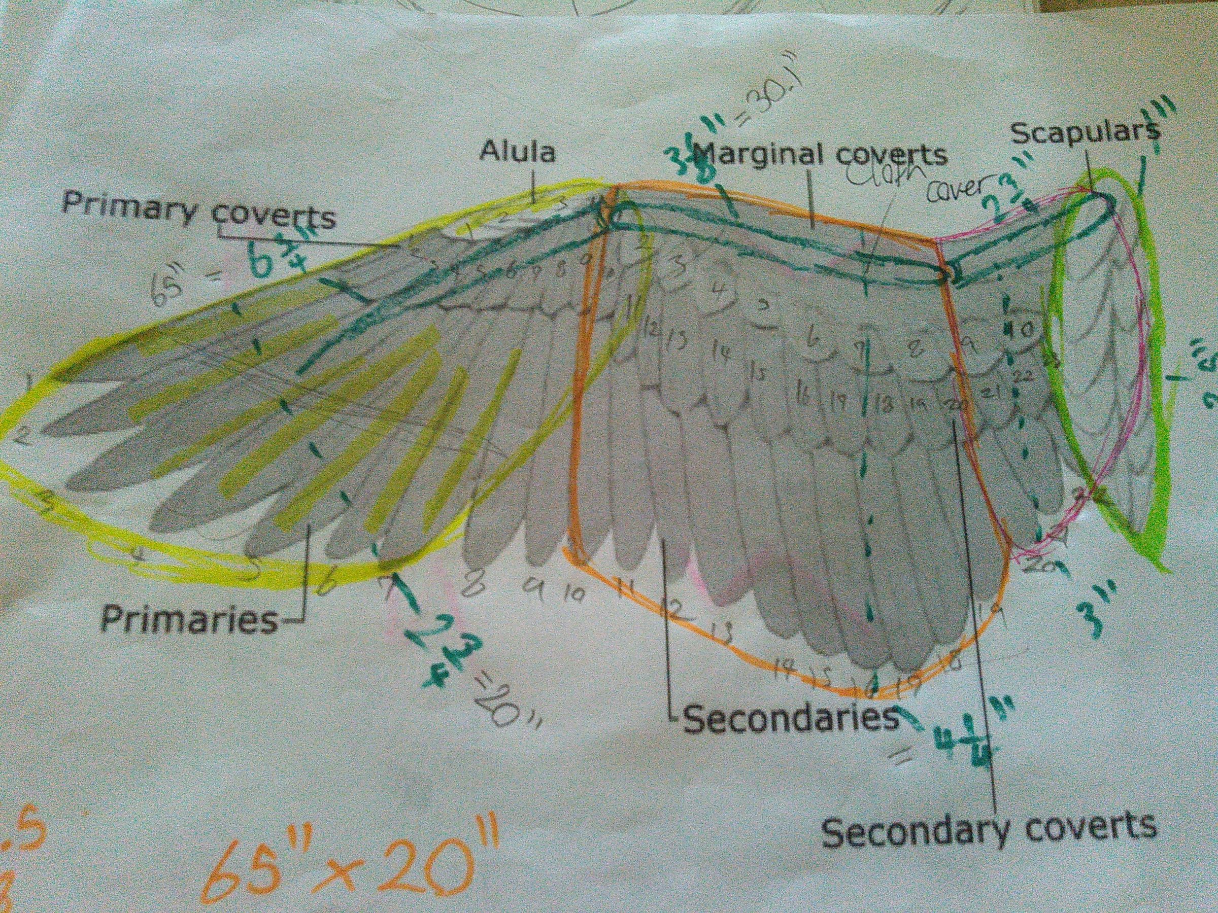 Designing an Articulated Wing Harness : 8 Steps - Instructables
