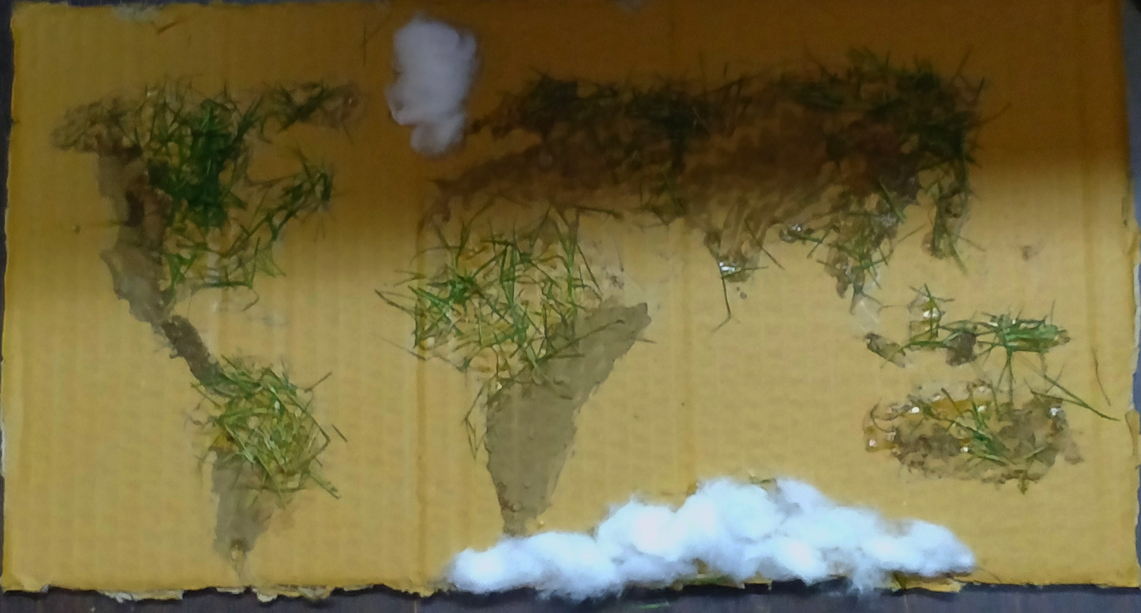 How to Make World Map Using Natural Things : 5 Steps - Instructables