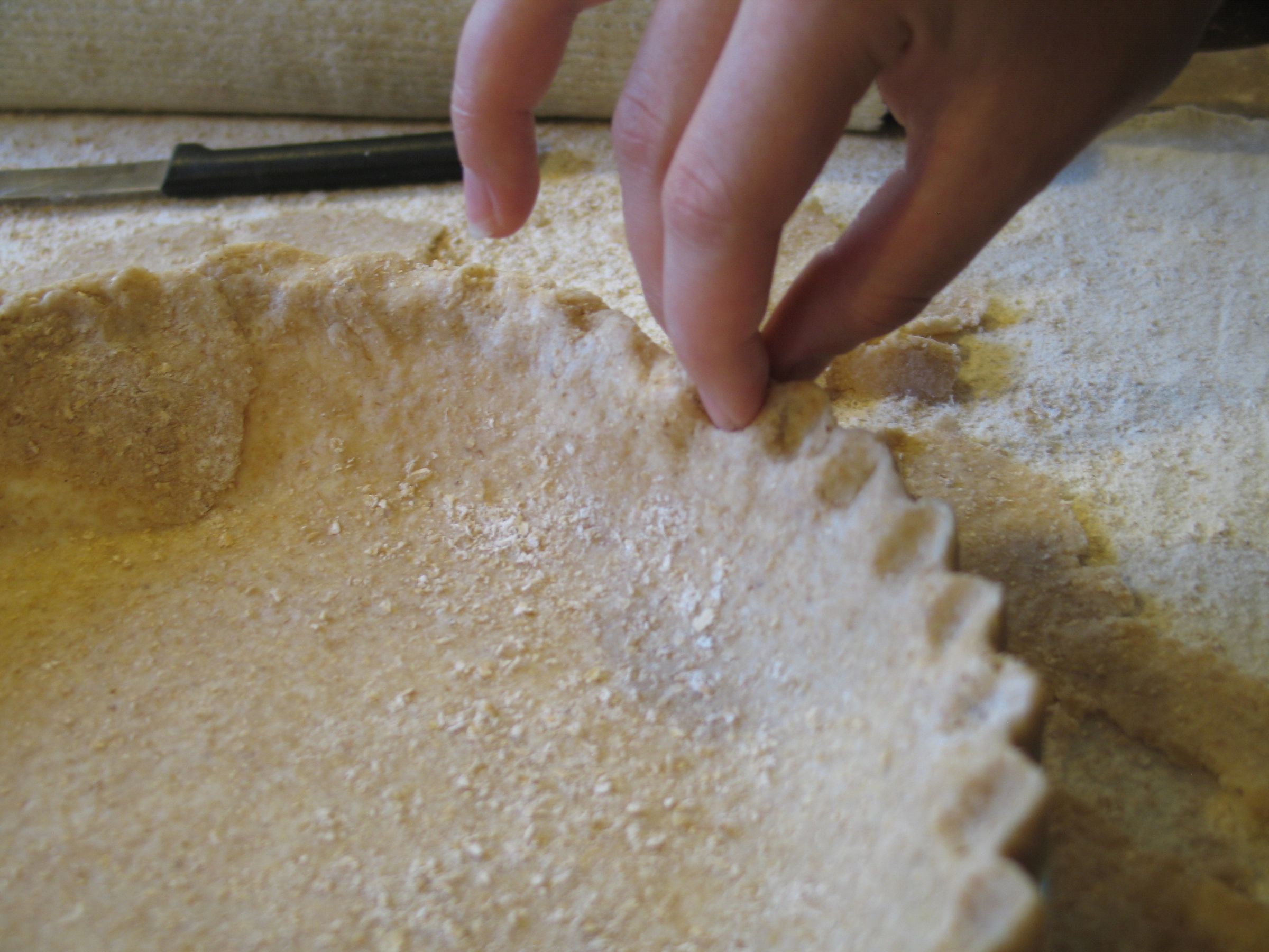An Introduction to Whole Wheat Pie Crusts : 7 Steps (with Pictures ...