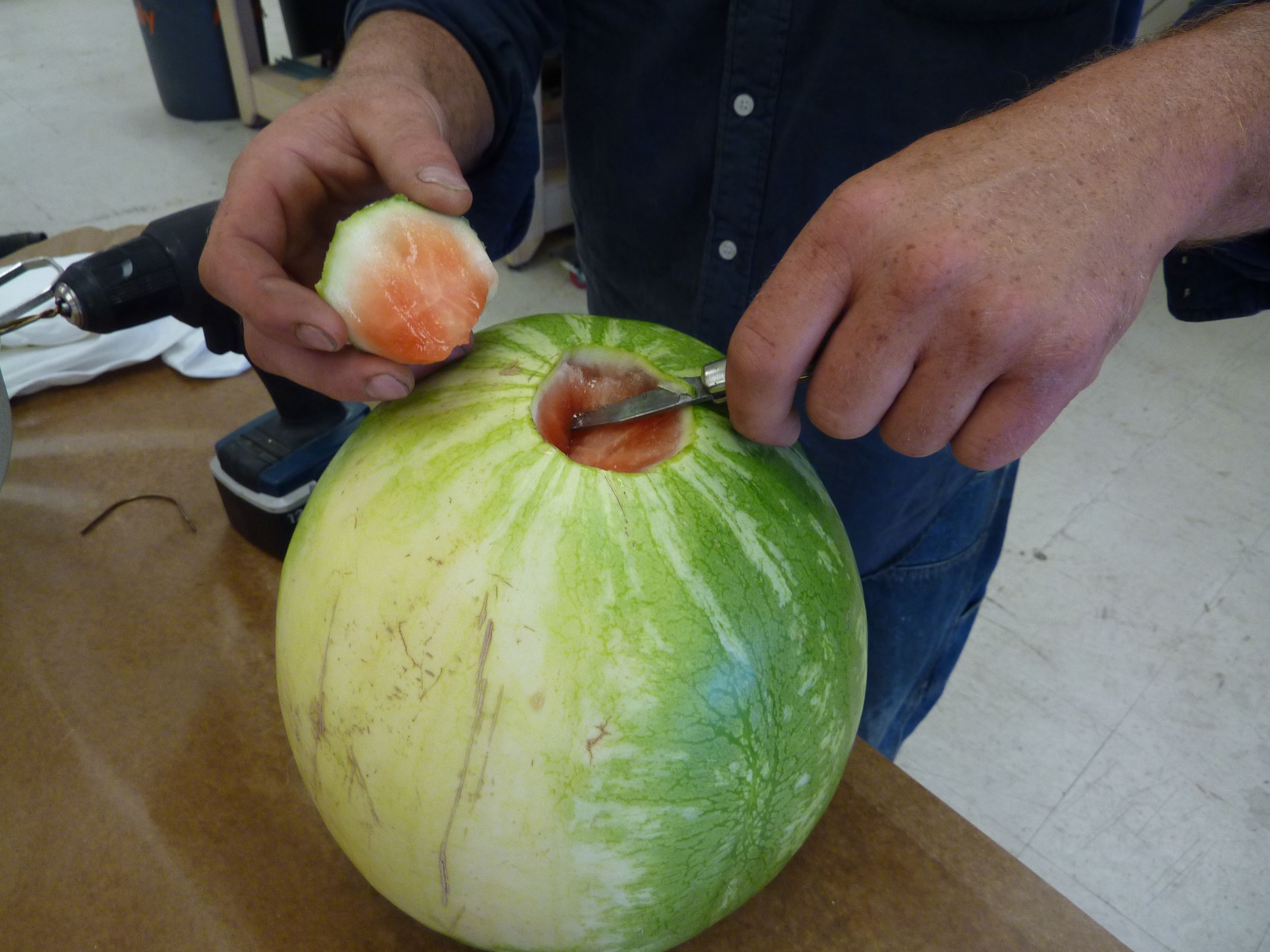 Make Watermelon Juice With a Drill and a Coat Hanger : 6 Steps (with ...
