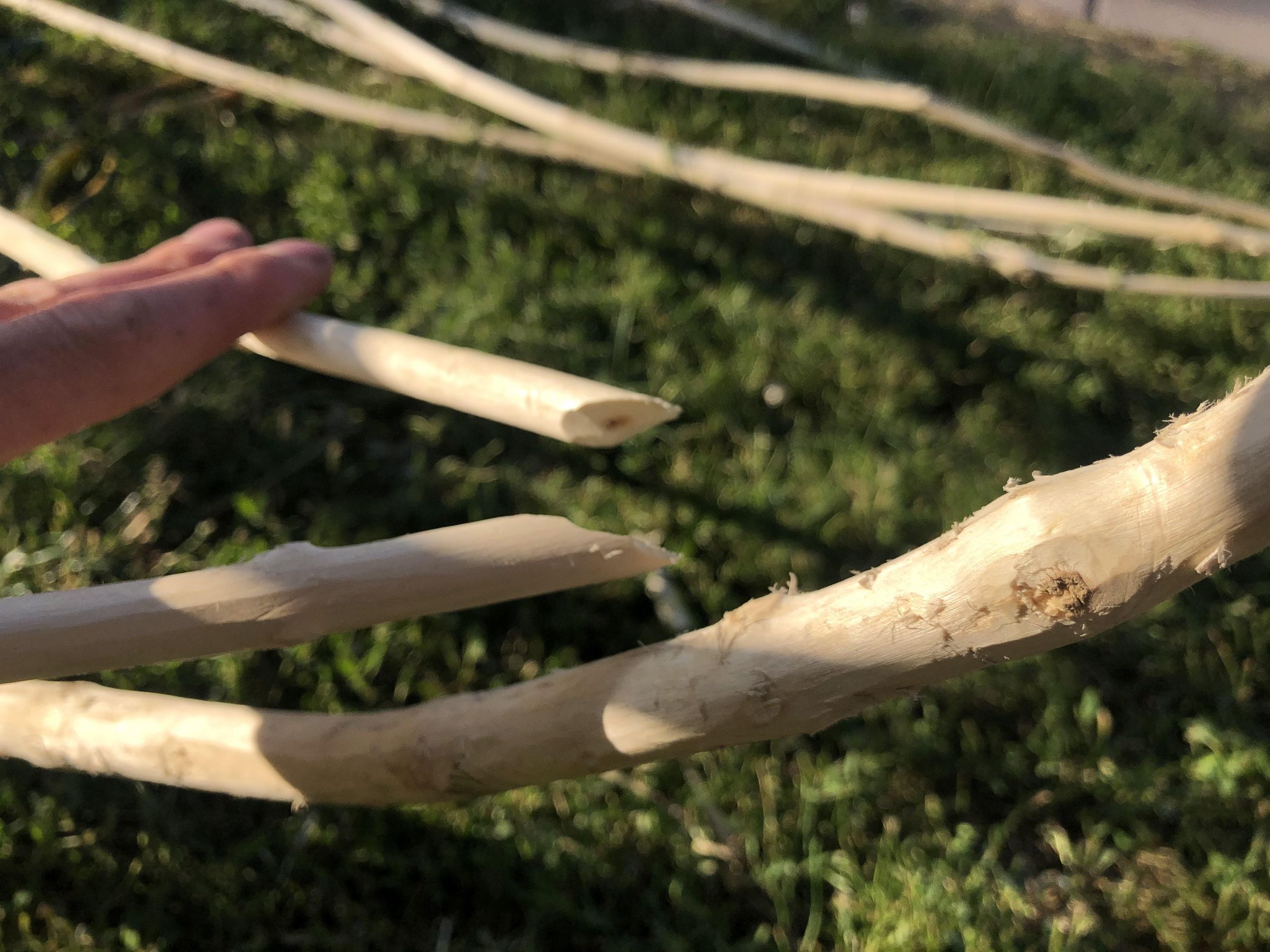 10$ Stretch Wrap Kayak : 4 Steps (with Pictures) - Instructables