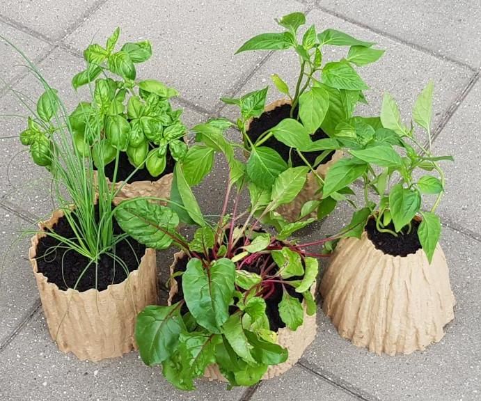 3D Scanned Tree Trunk Planter Pots : 6 Steps (with Pictures ...