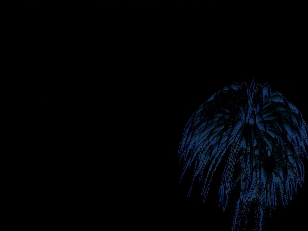 Awesome Vector Fireworks : 5 Steps - Instructables