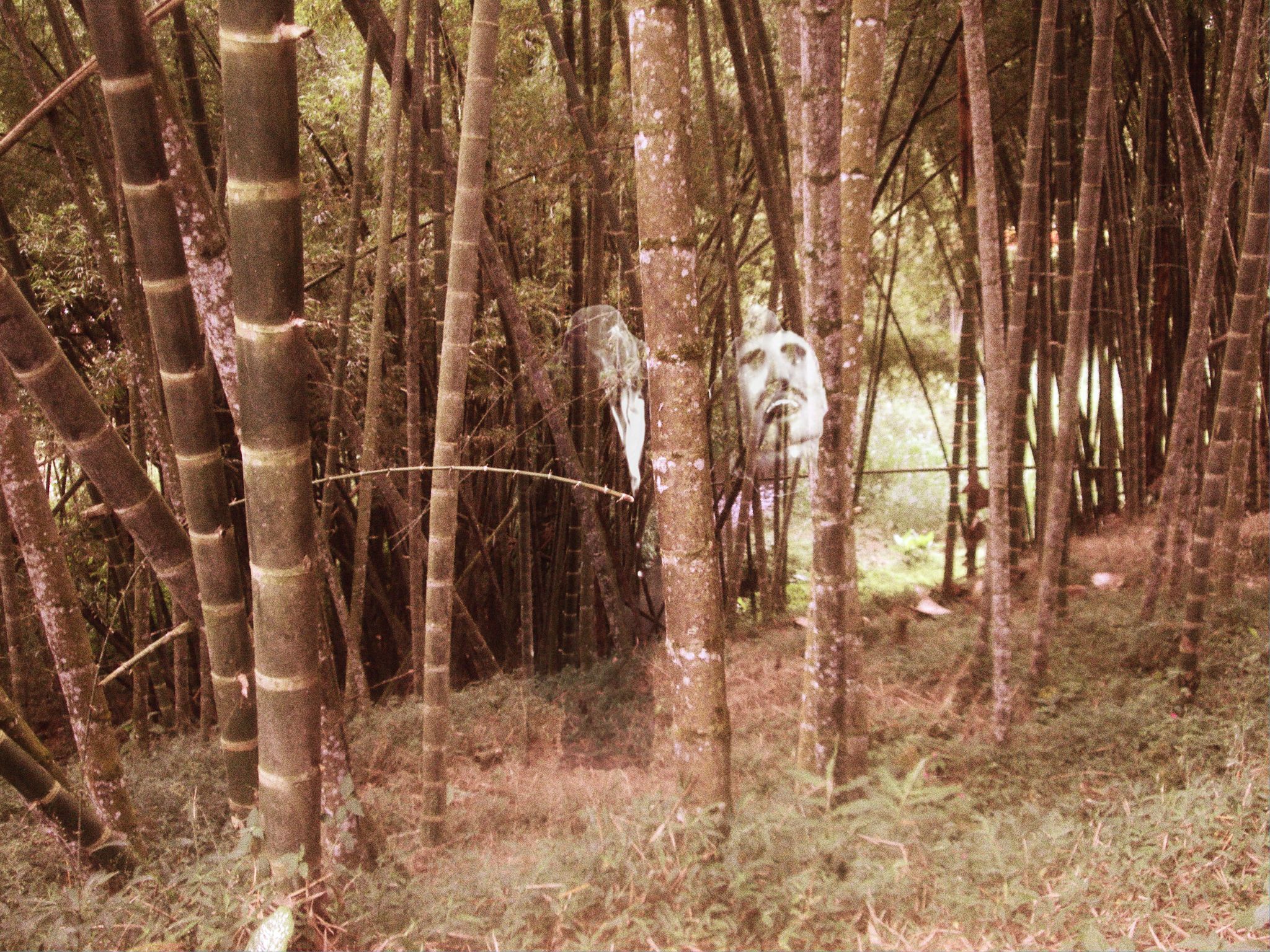 Ghost Photography : 5 Steps - Instructables