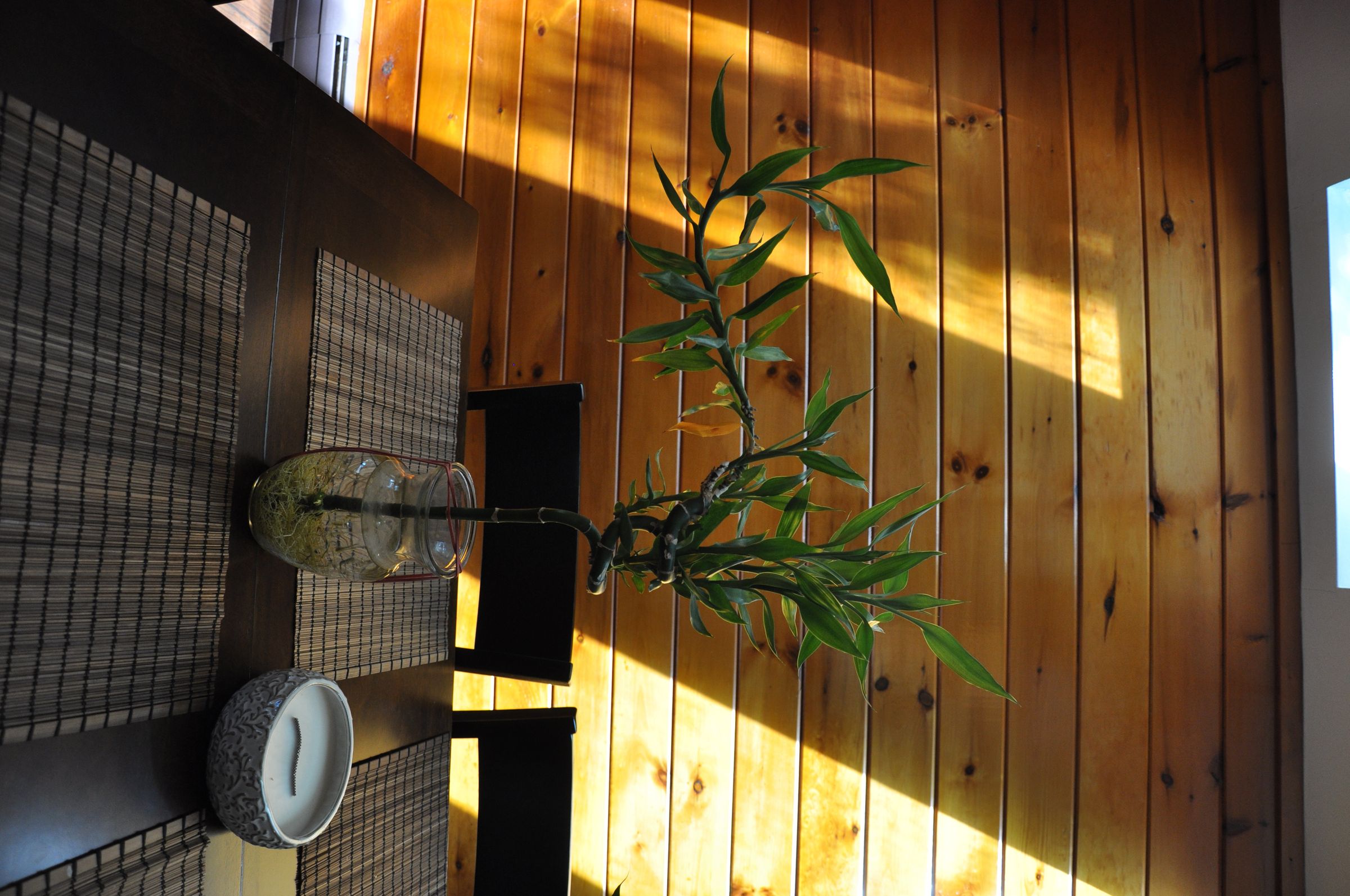 Cloning Your Bamboo : 7 Steps (with Pictures) - Instructables