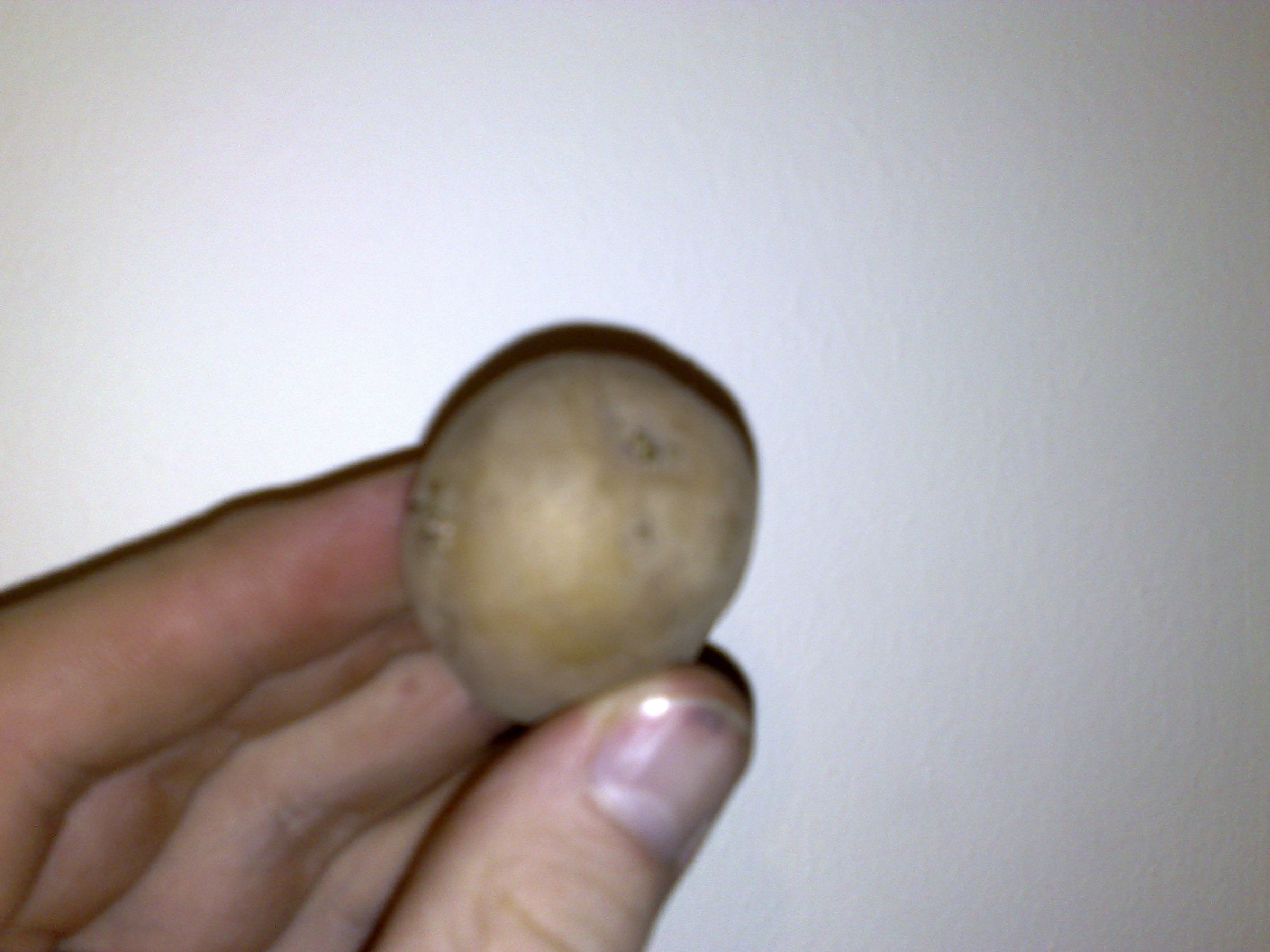 Potato Chitting : 4 Steps - Instructables