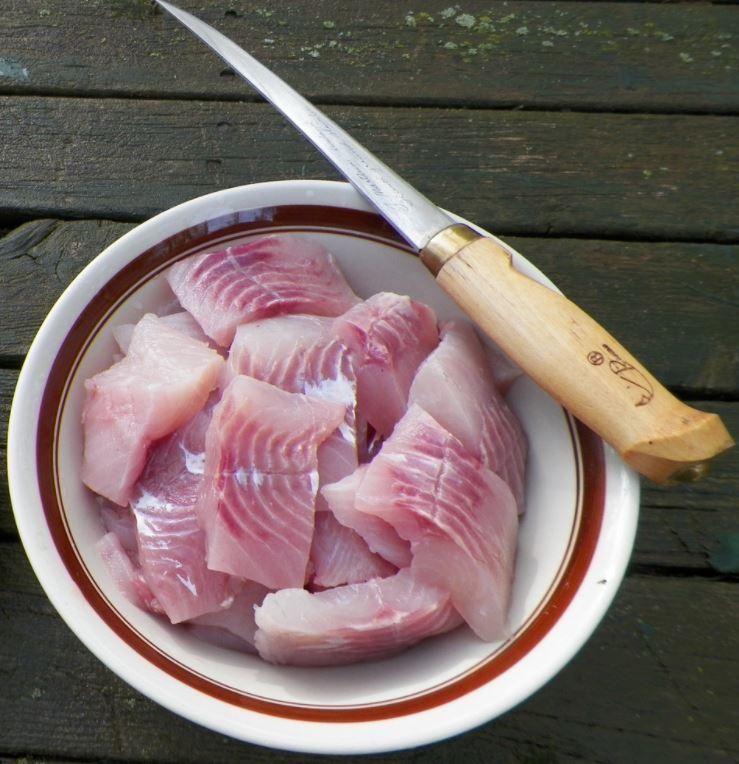 White Sucker Recipes