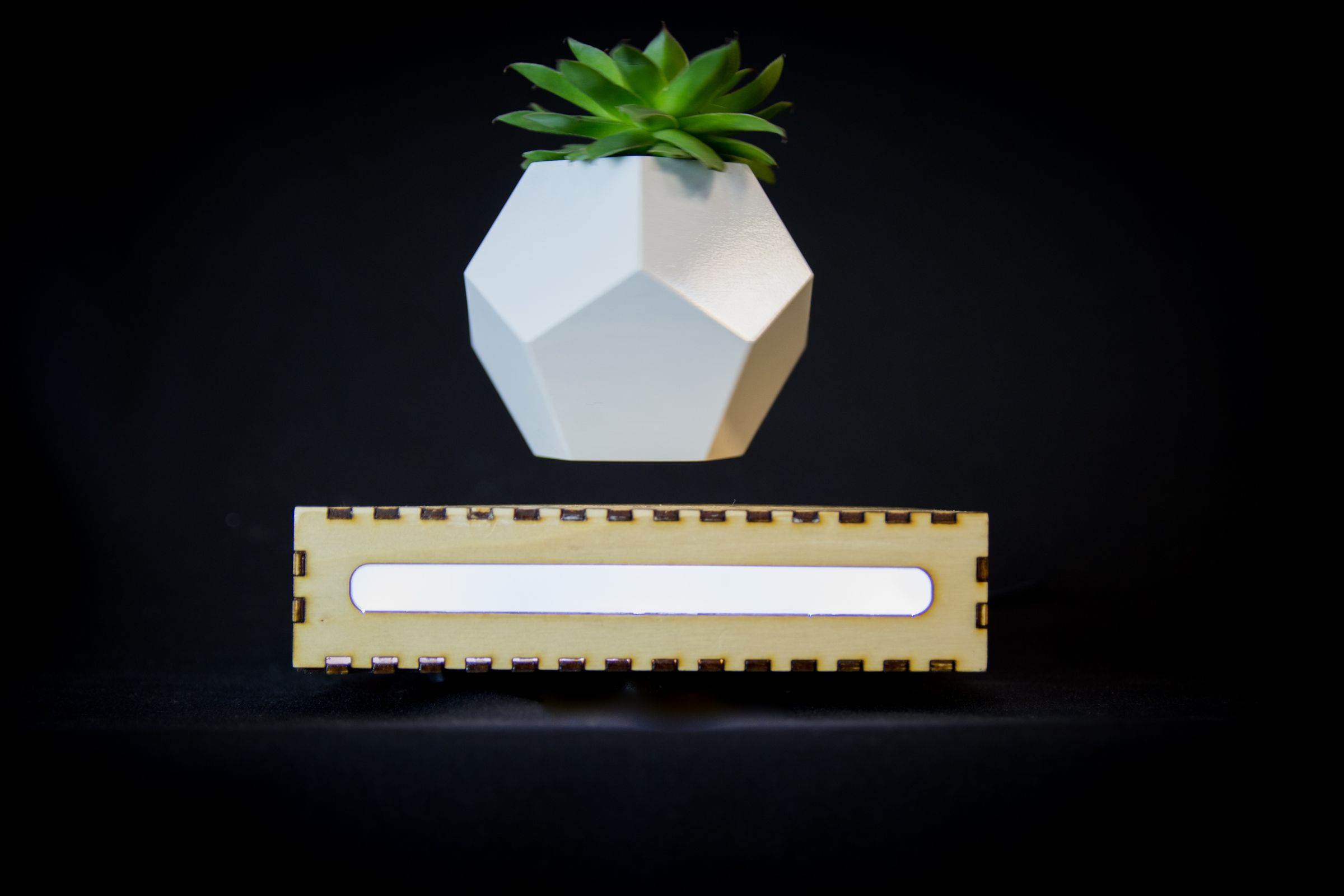 DIY Levitating Plant! : 7 Steps (with Pictures) - Instructables