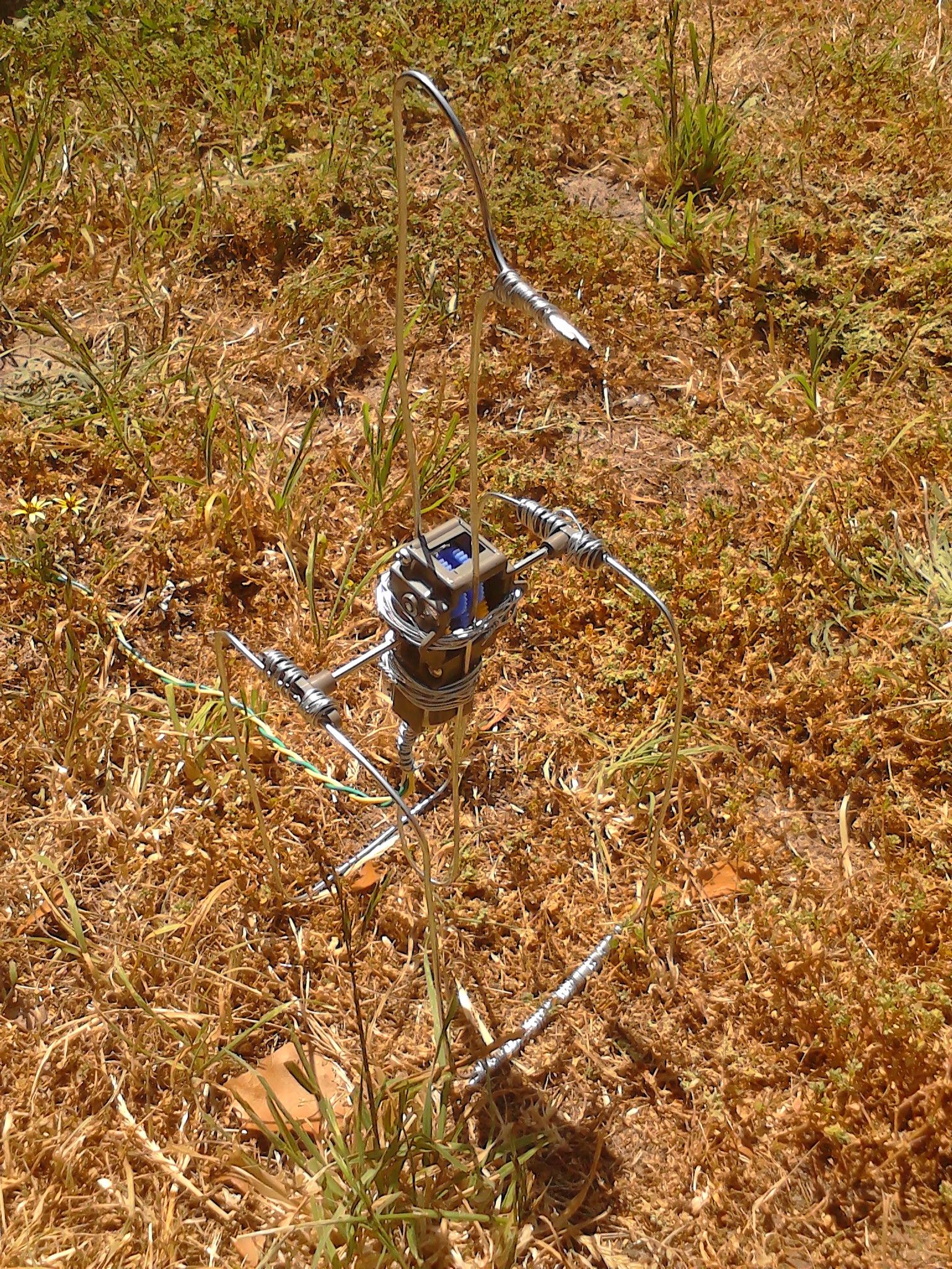 Robotic Bird : 8 Steps - Instructables