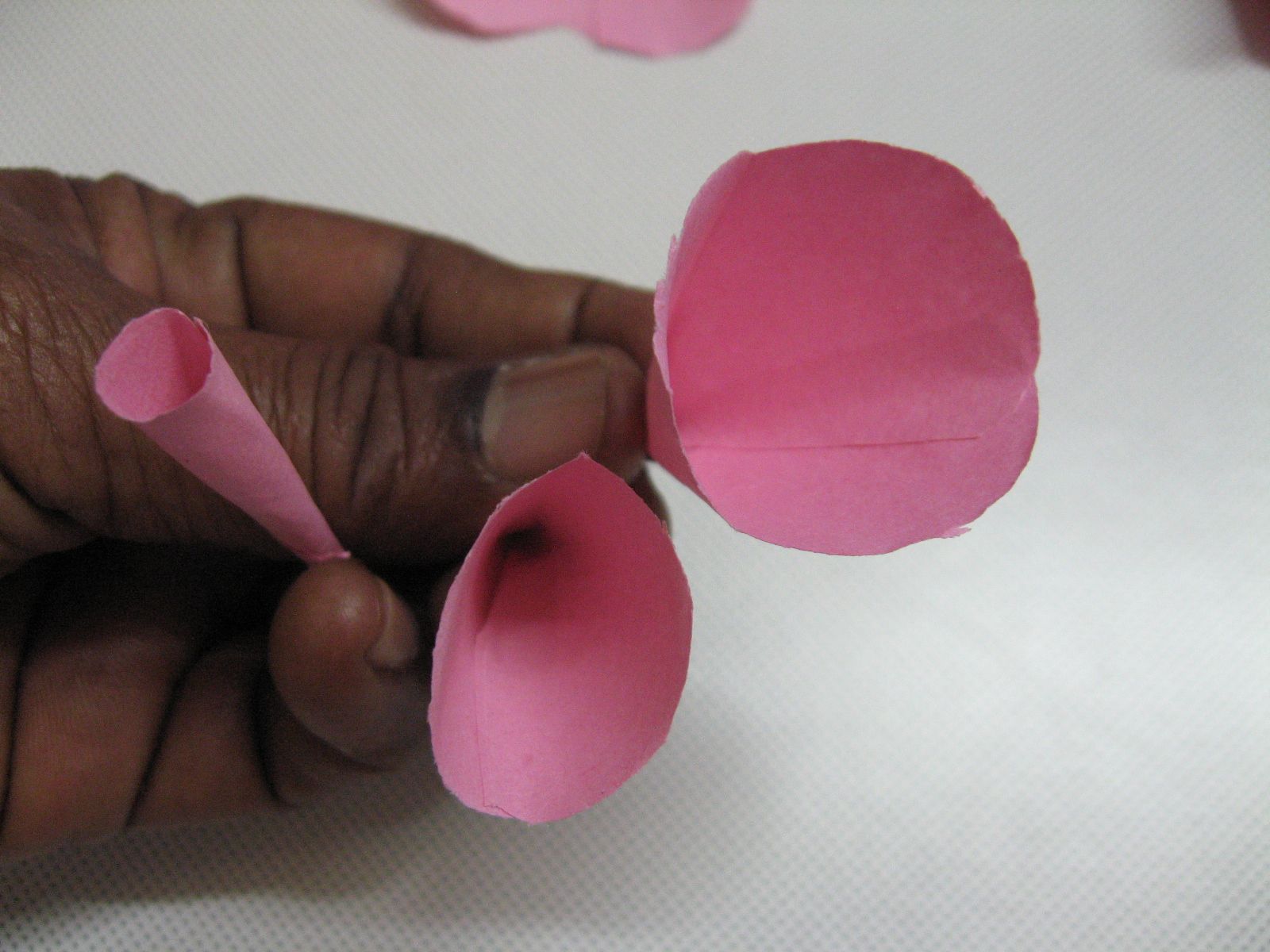 How to Make Real Looking Paper Roses : 7 Steps (with Pictures ...