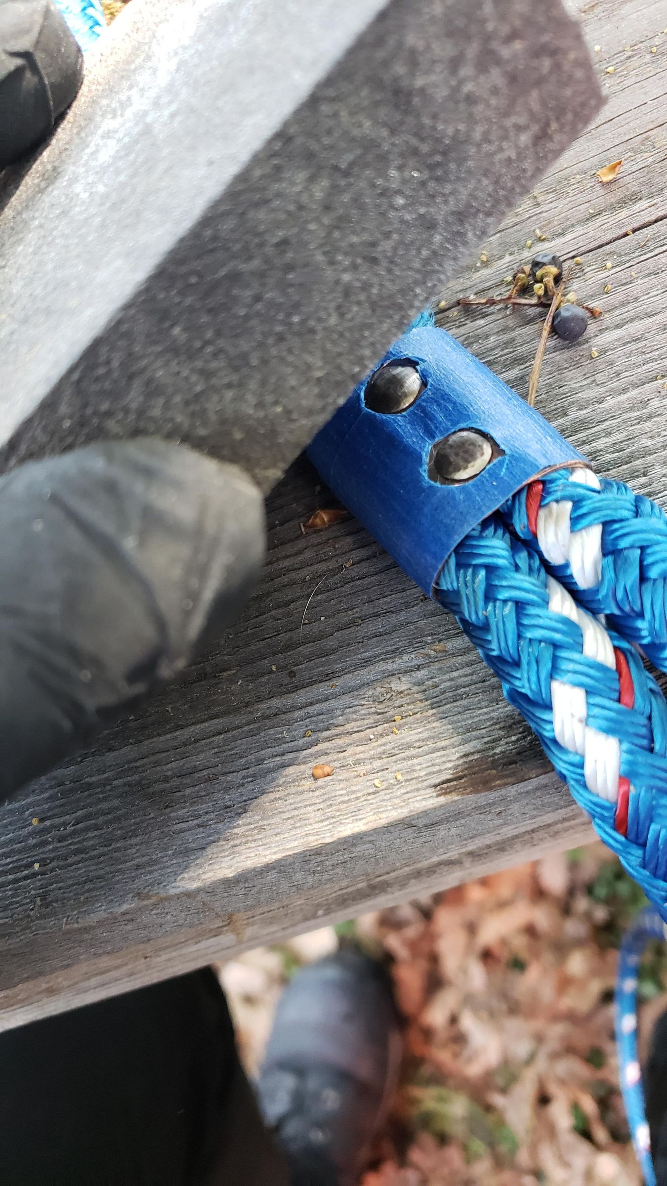 Rope Leash! : 28 Steps (with Pictures) - Instructables