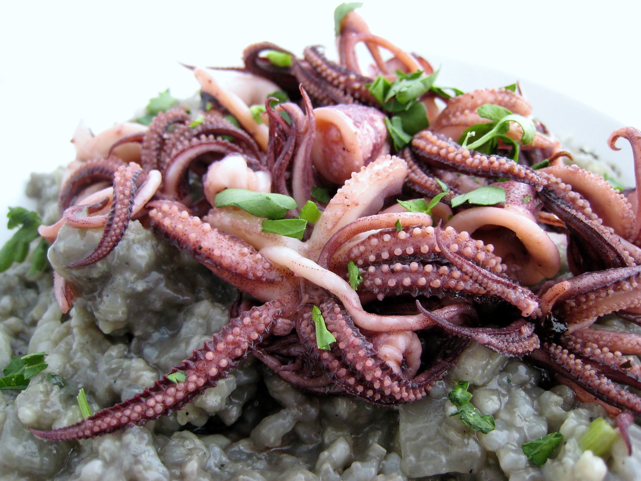 Squid Ink Risotto With Pan-Fried Squid : 9 Steps (with Pictures ...