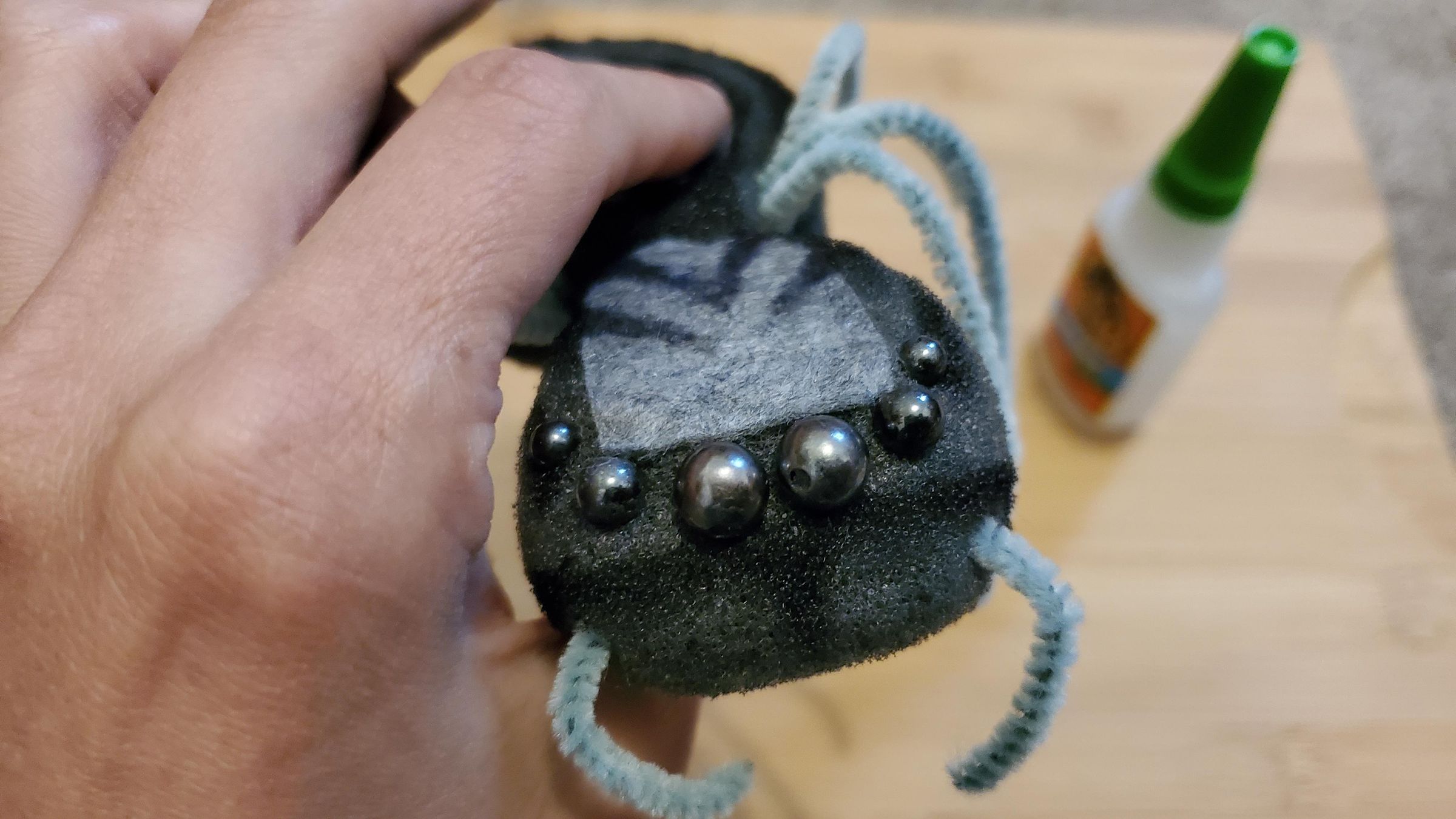 Jumping Spider : 9 Steps (with Pictures) - Instructables
