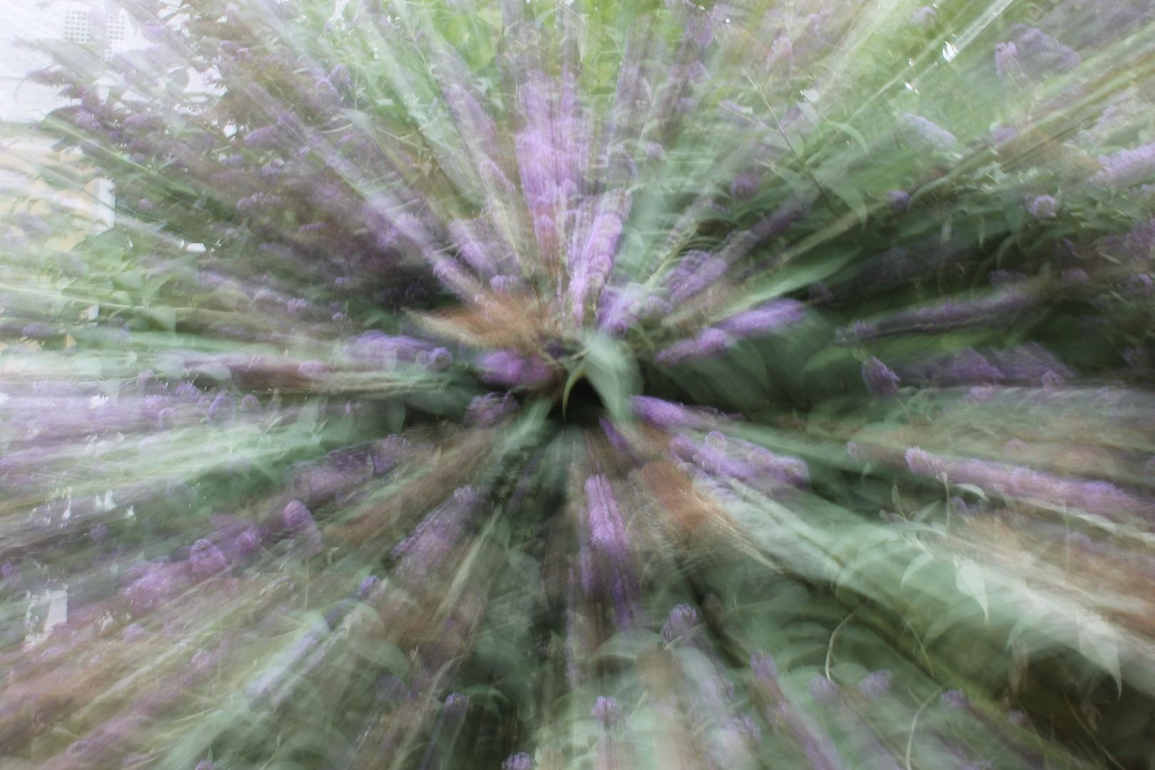 Psychedelic Camera Trick - Instructables