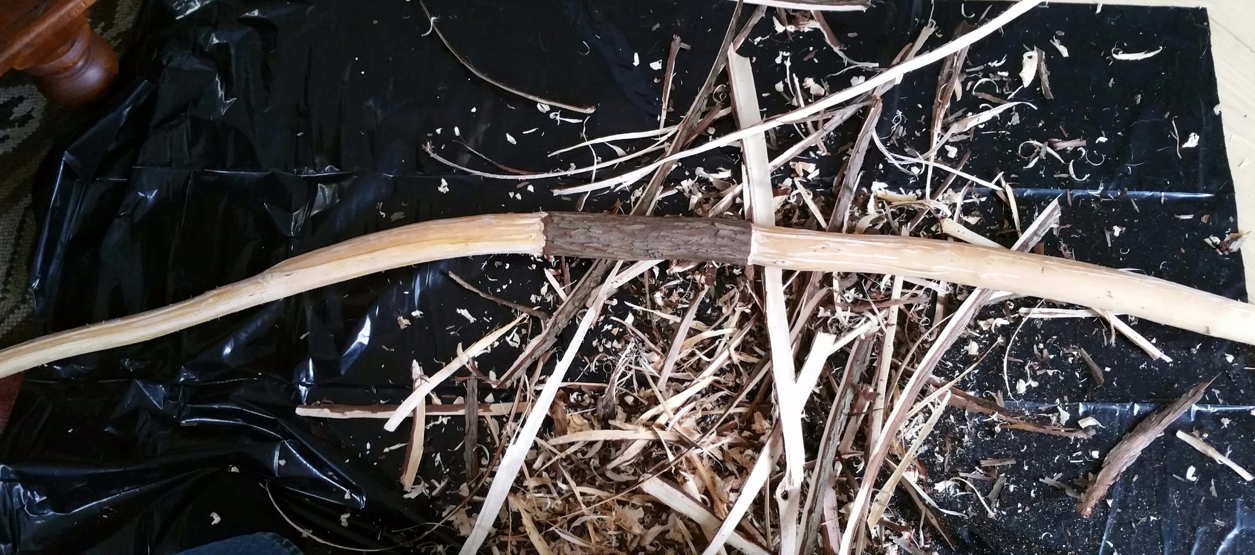 Crafting a Bow for Wilderness Survival - Instructables