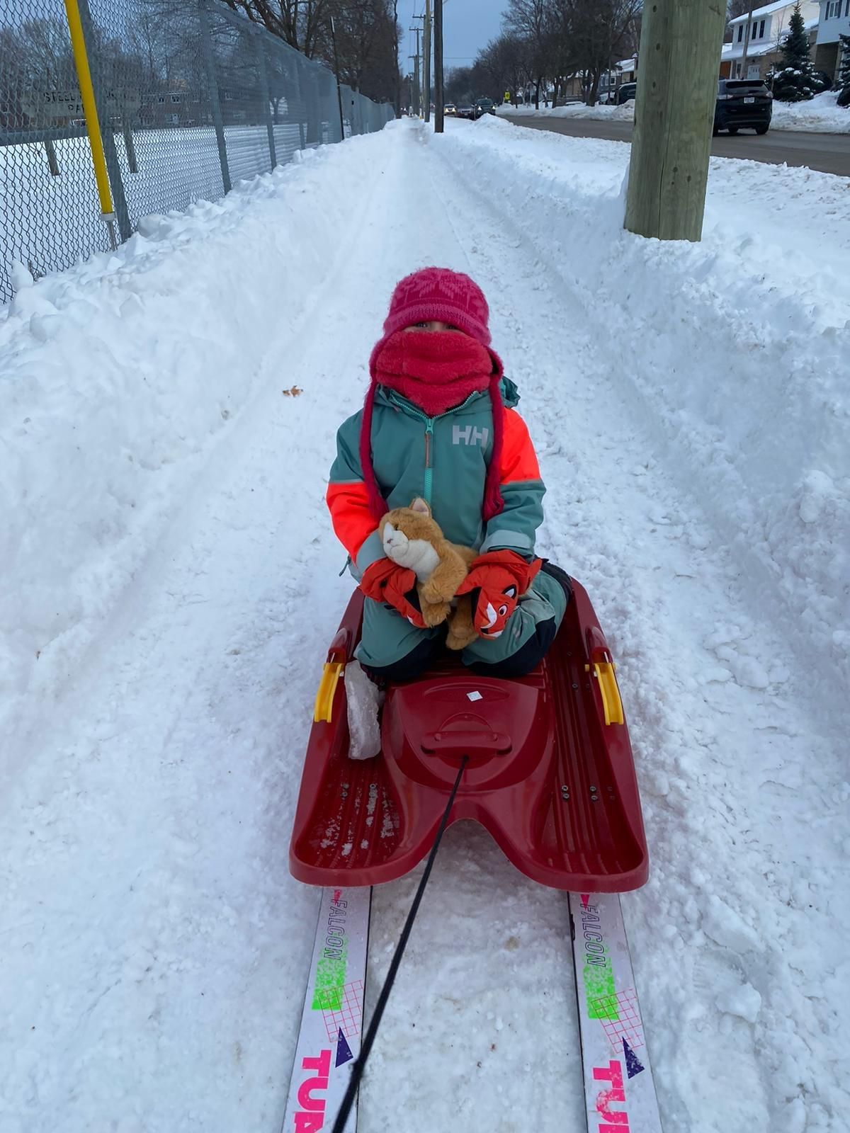 The Ski Sled MKII : 17 Steps (with Pictures) - Instructables