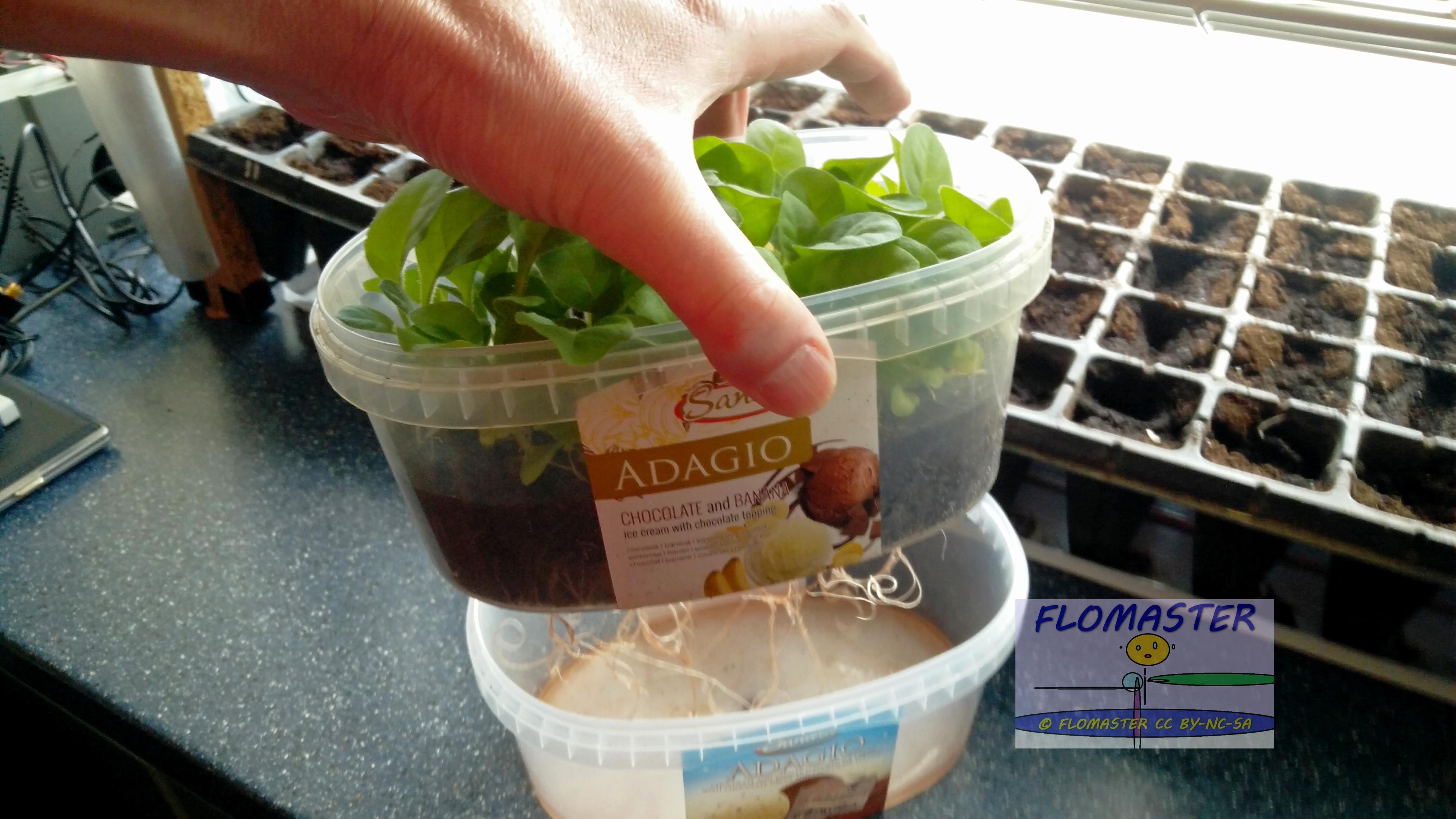🌼 DIY Seedling Propagator From Recycled Plastic Container 🌼 : 12 Steps ...