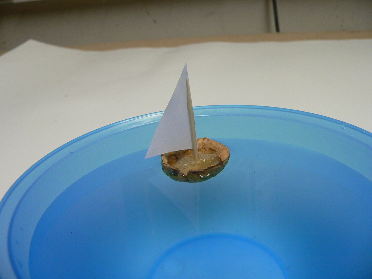 Sailboat (in) From a Nutshell : 5 Steps (with Pictures) - Instructables