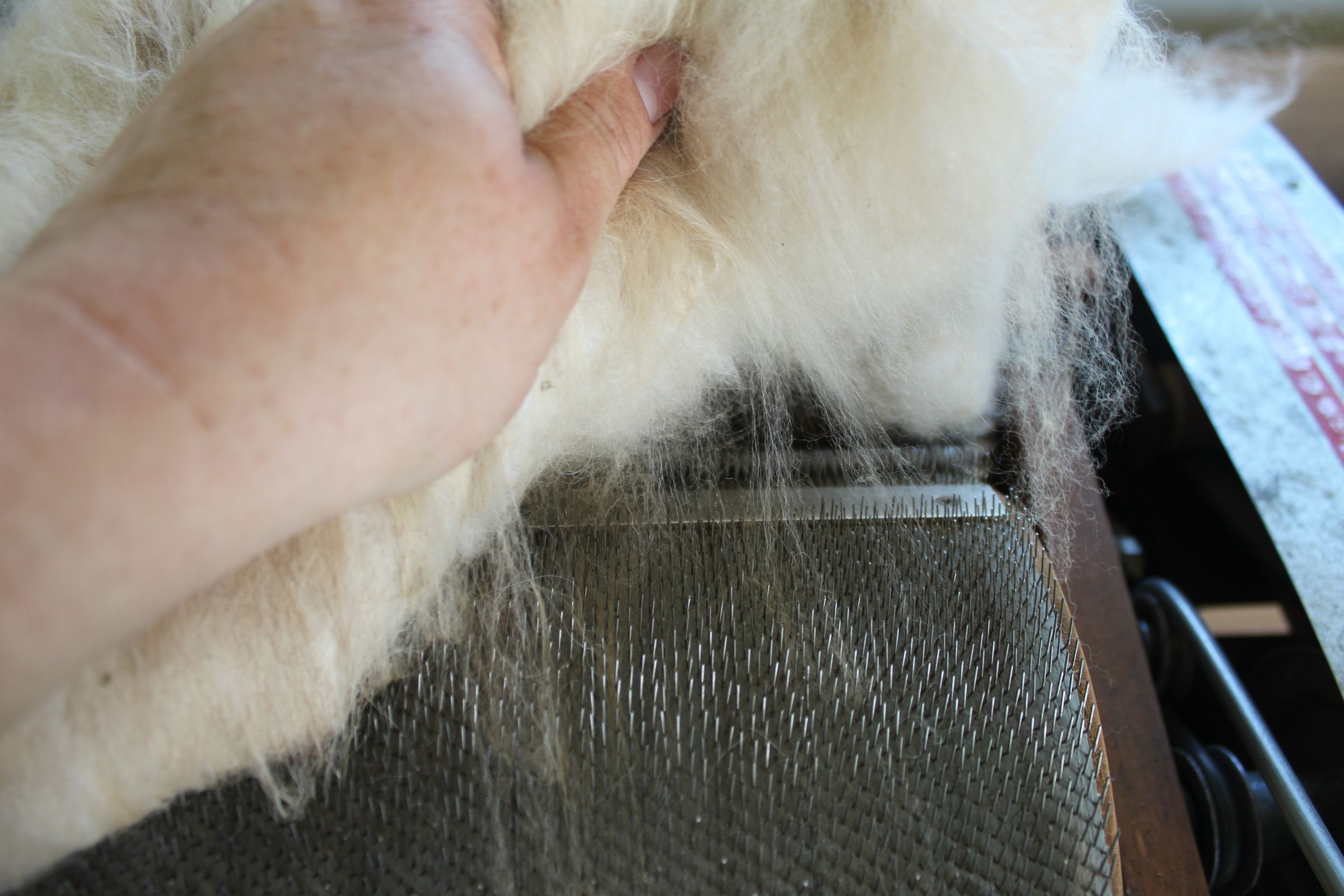 Carding Fiber : 6 Steps (with Pictures) - Instructables