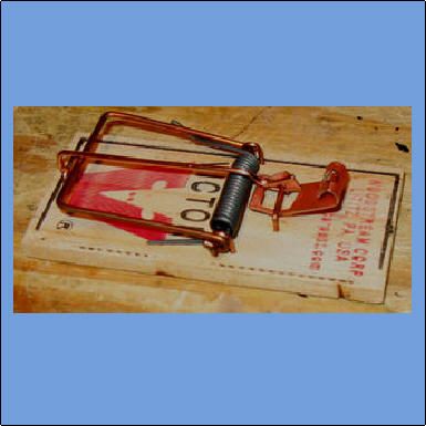 Mouse Trap Speed! : 4 Steps (with Pictures) - Instructables