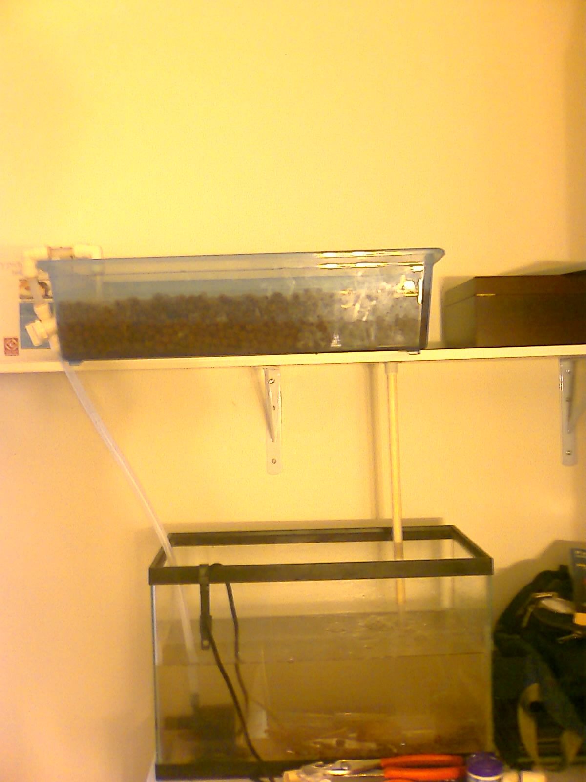 Aquaponics (Growing Plants With Fish Poo) : 13 Steps (with Pictures ...