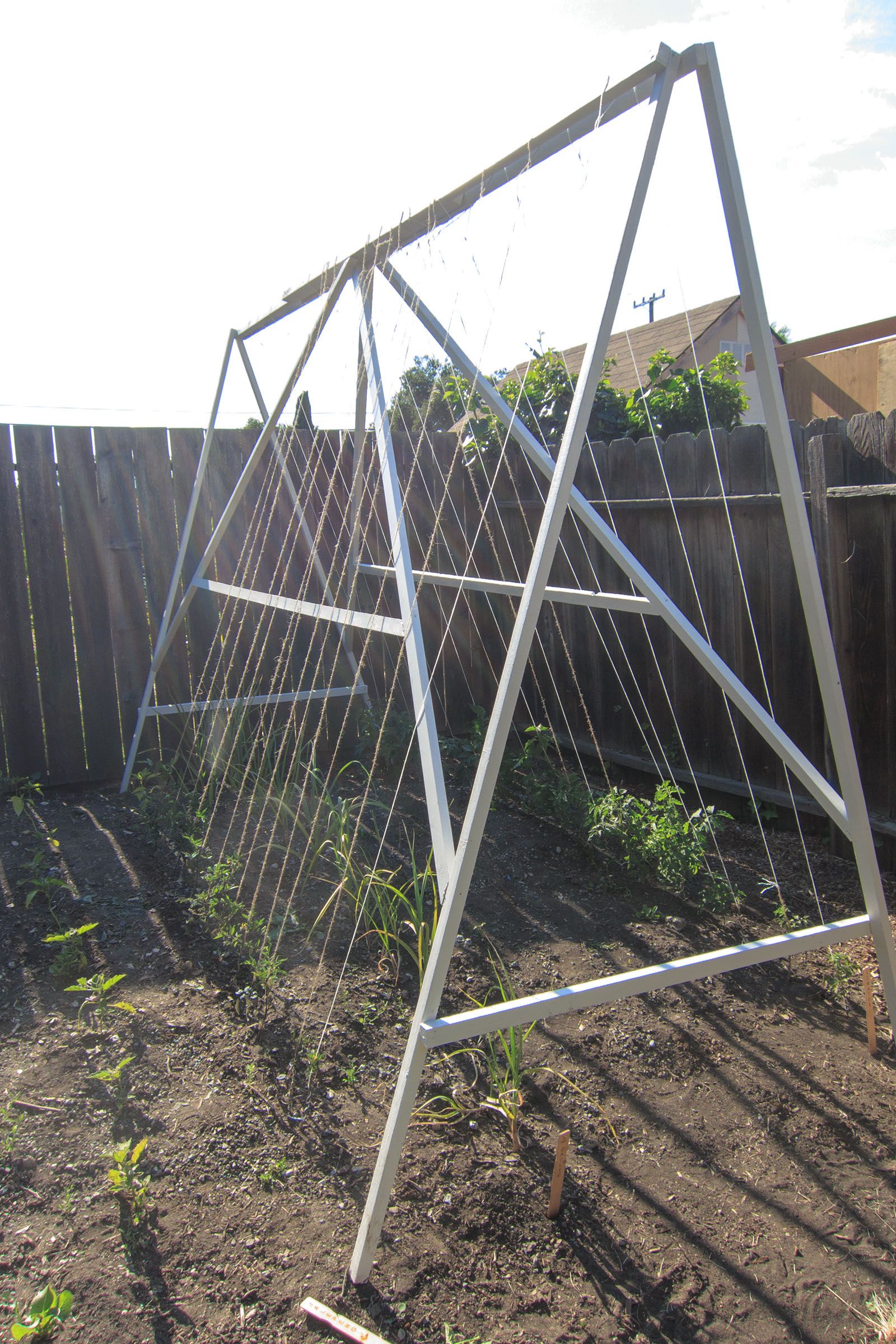 Tomato Trellis : 4 Steps - Instructables