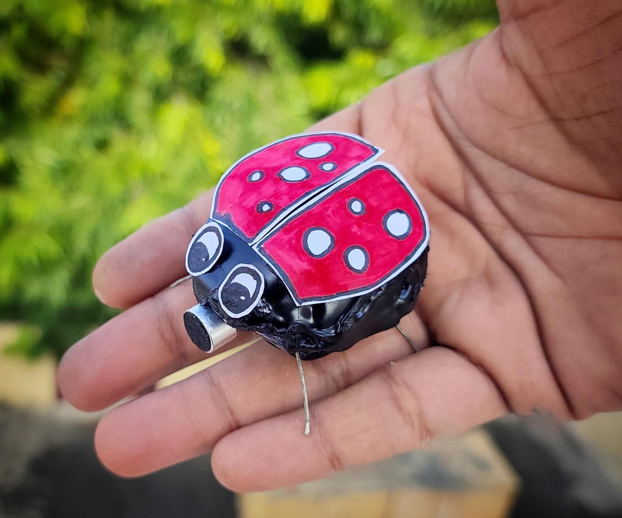 Stone Bug Controlled With Sound : 4 Steps (with Pictures) - Instructables