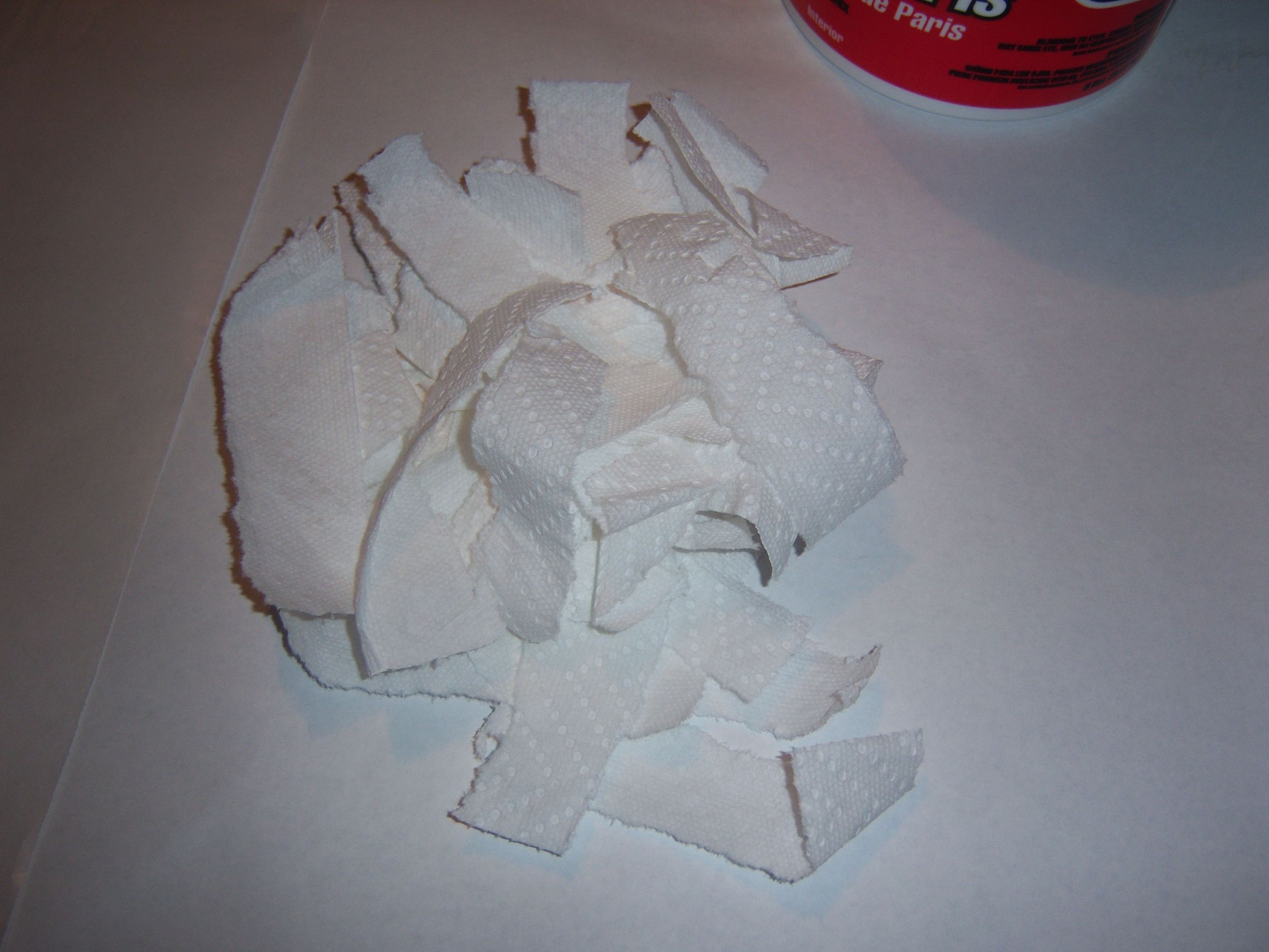 Plaster Models for School Project ("Plaster- Mache") : 7 Steps ...