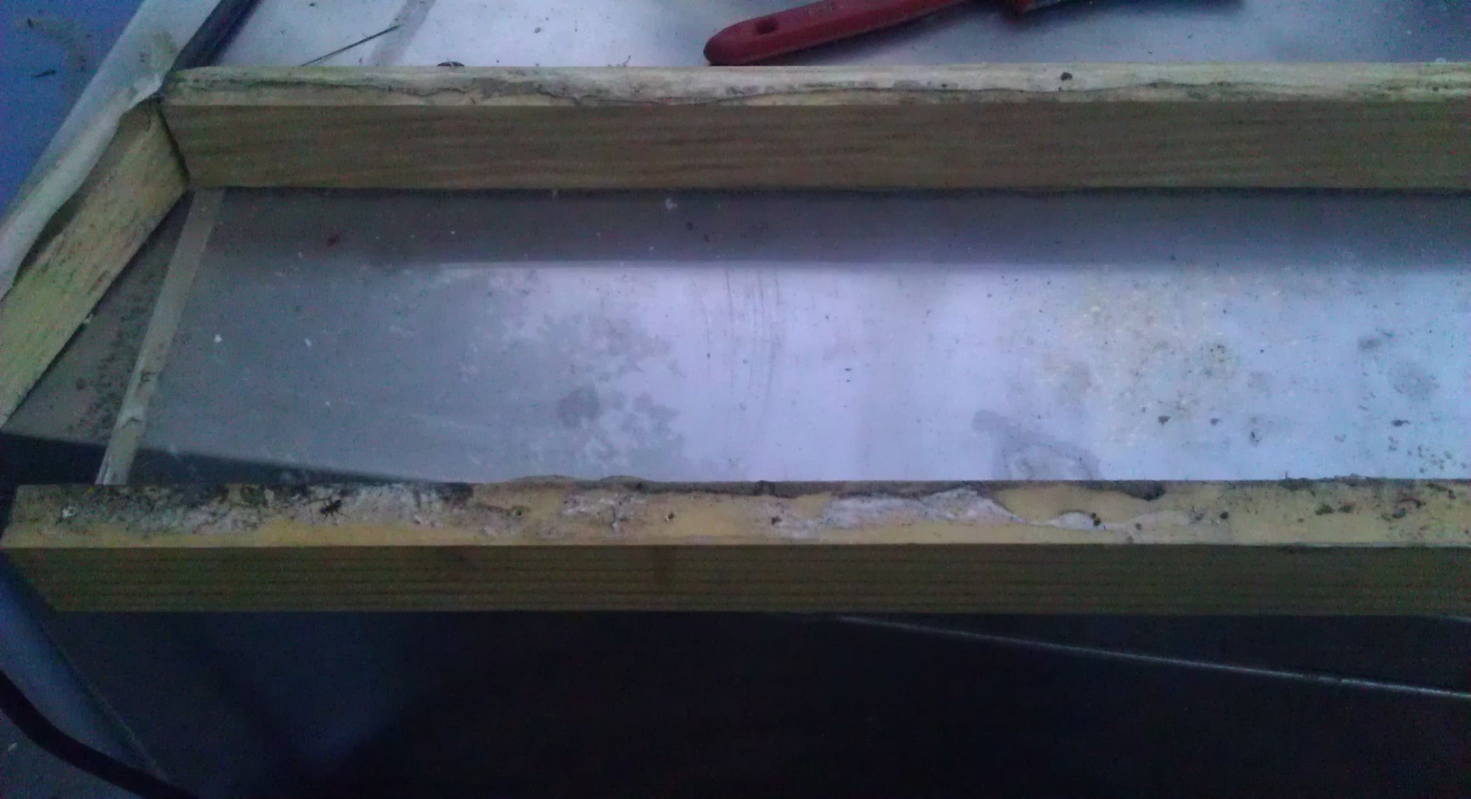 Homade Ant Farm : 5 Steps - Instructables