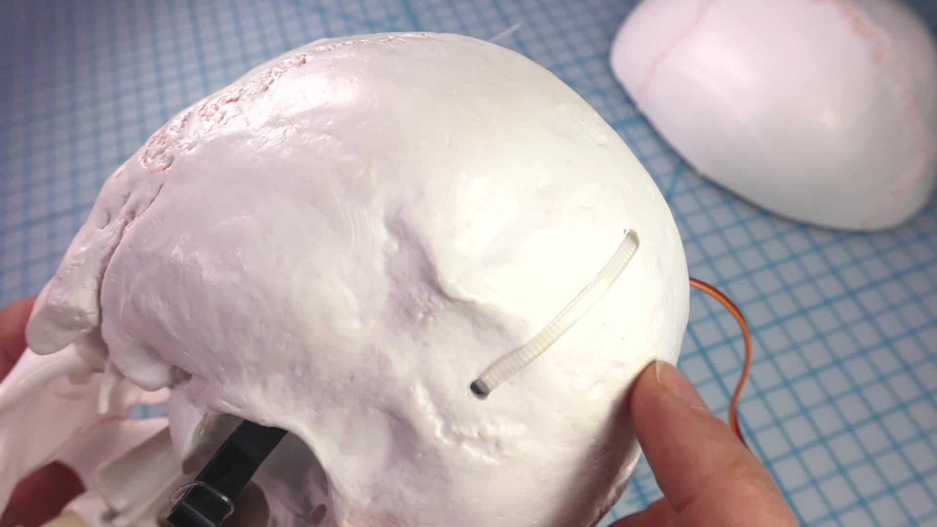 Easy Talking Skull With Micro:bit - Remote Control Animatronic Skull ...