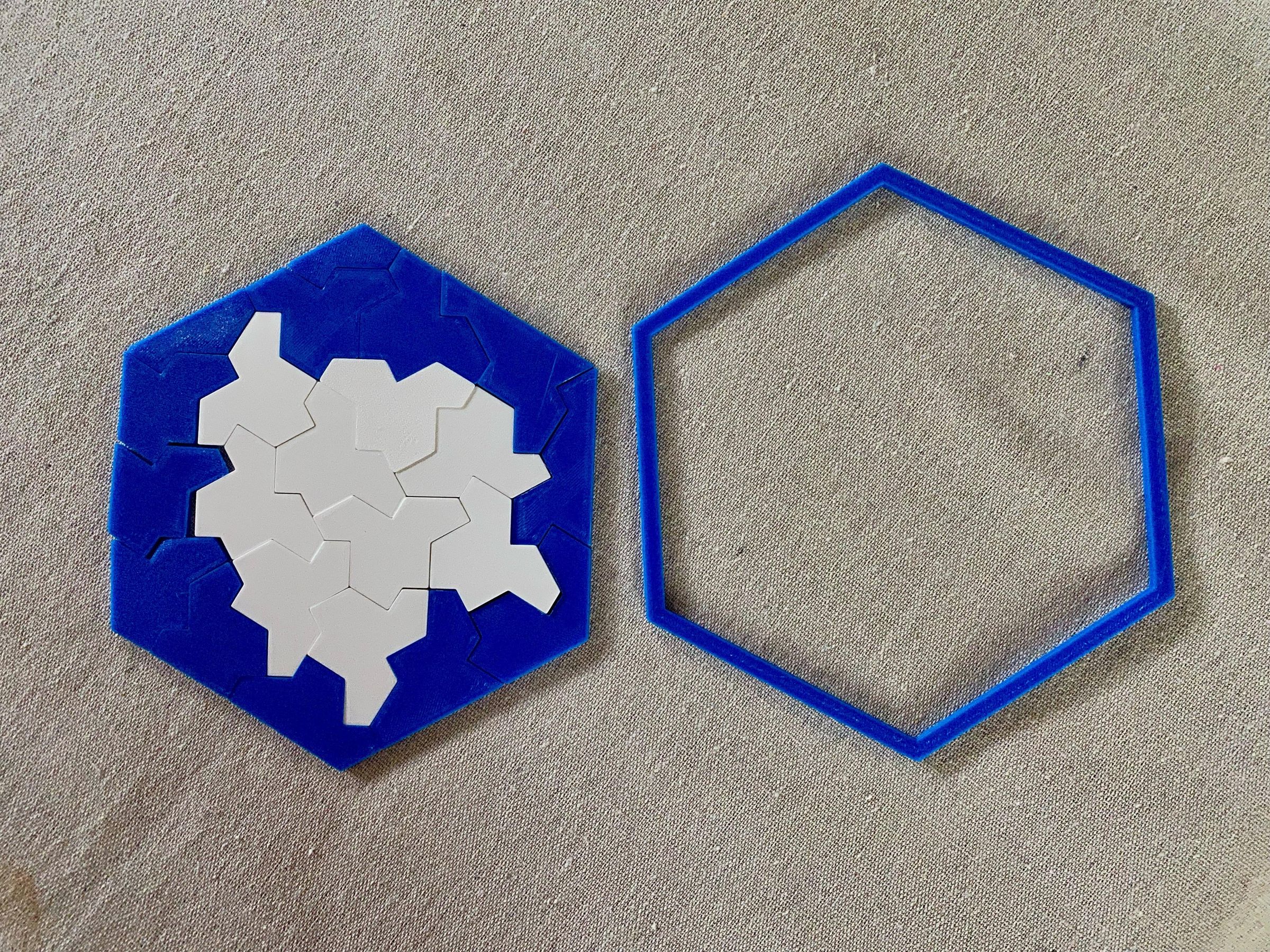 Einstein Tile Puzzle : 3 Steps - Instructables