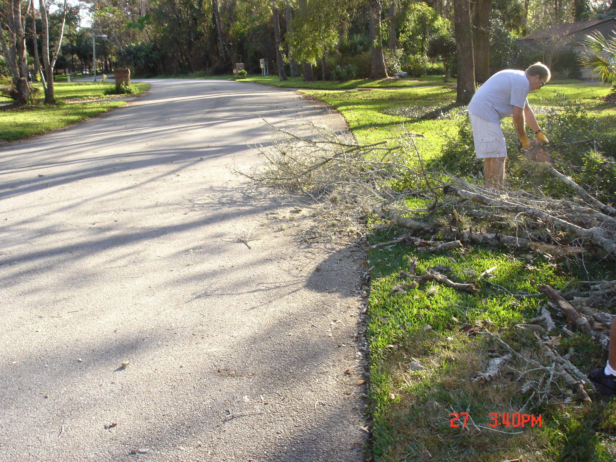 How to Cut Down a Tree : 6 Steps - Instructables